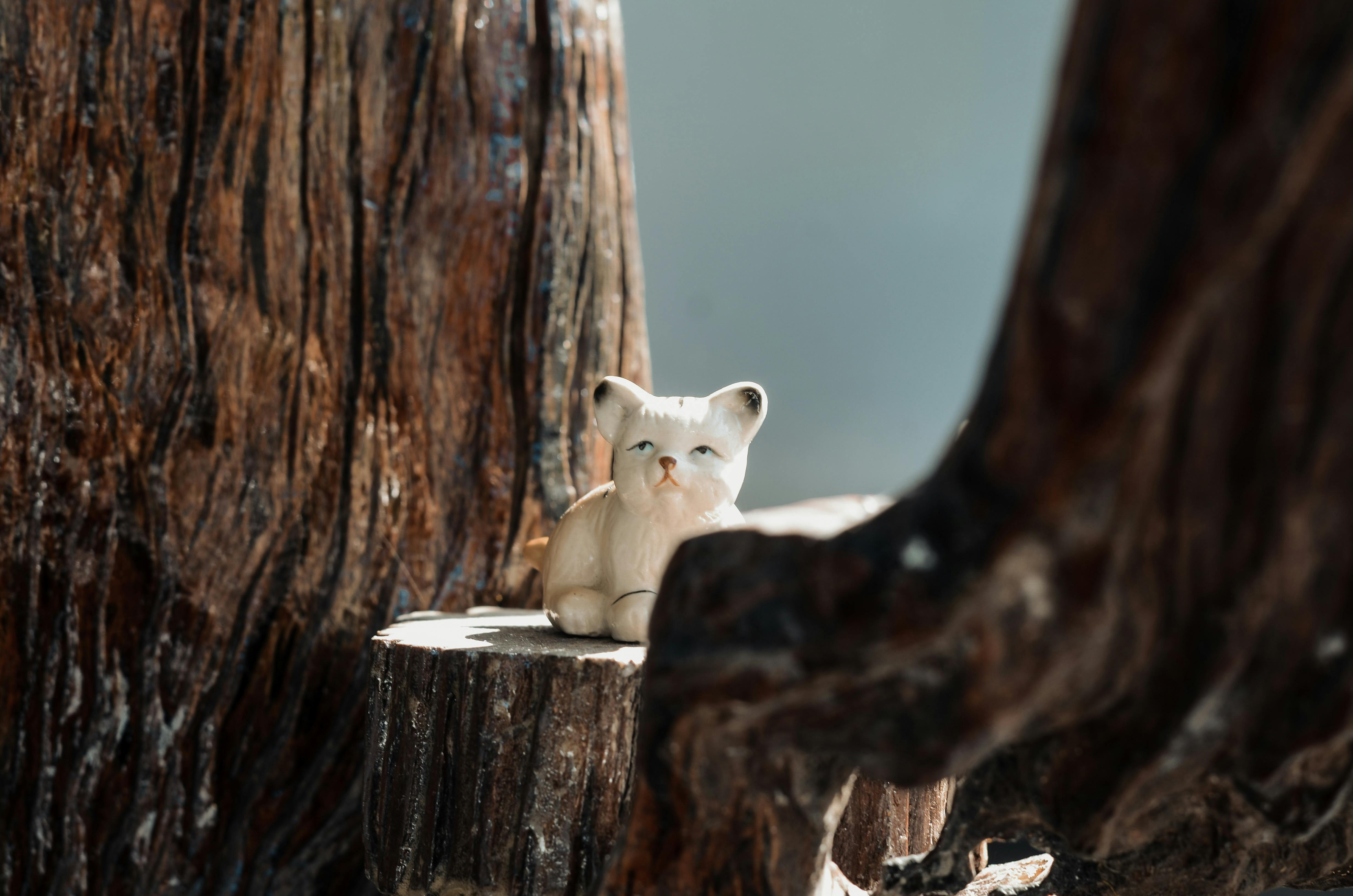 Animal Figurine o a Tree Stump · Free Stock Photo