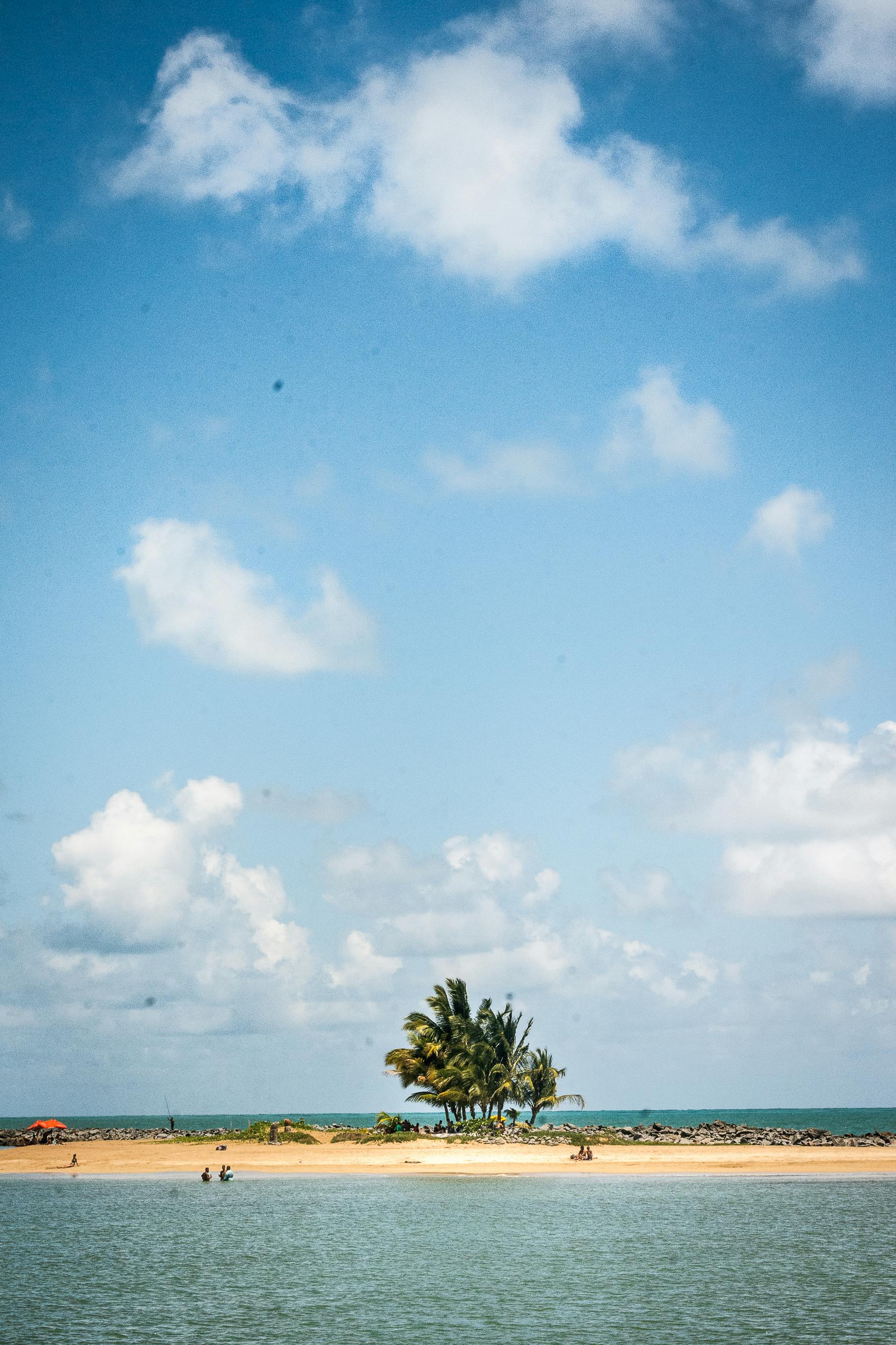 View of a Palm Trees on the Beach · Free Stock Photo