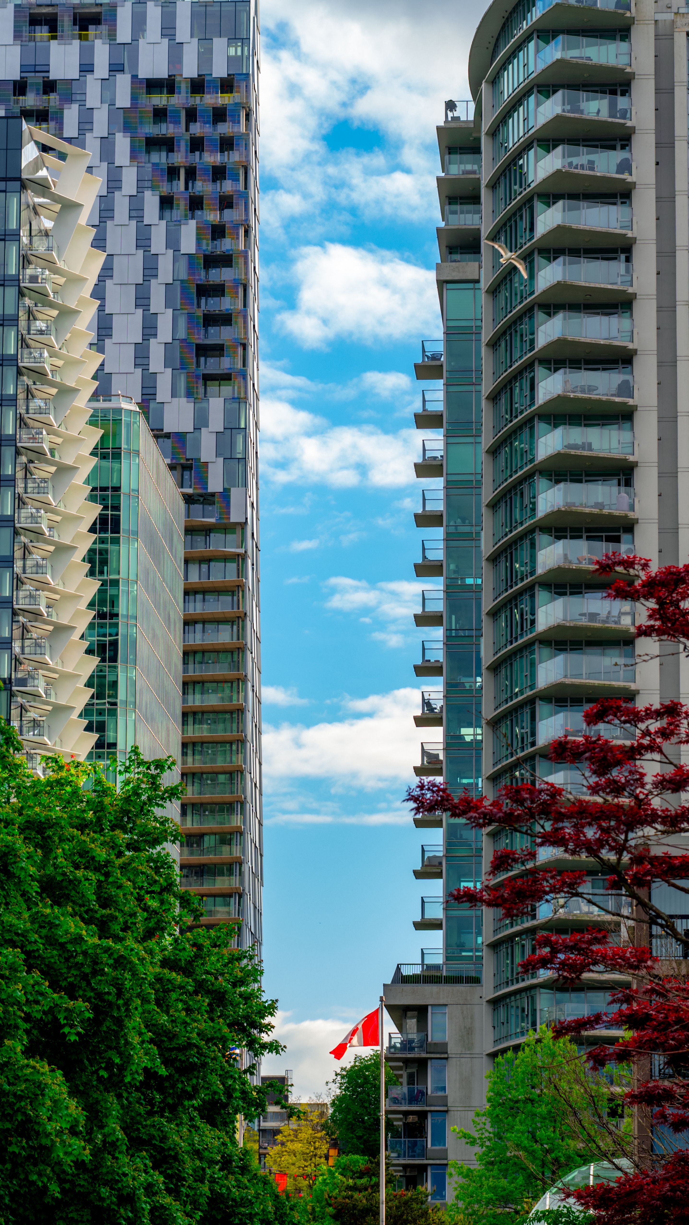 High Rise Buildings Near Green Trees · Free Stock Photo
