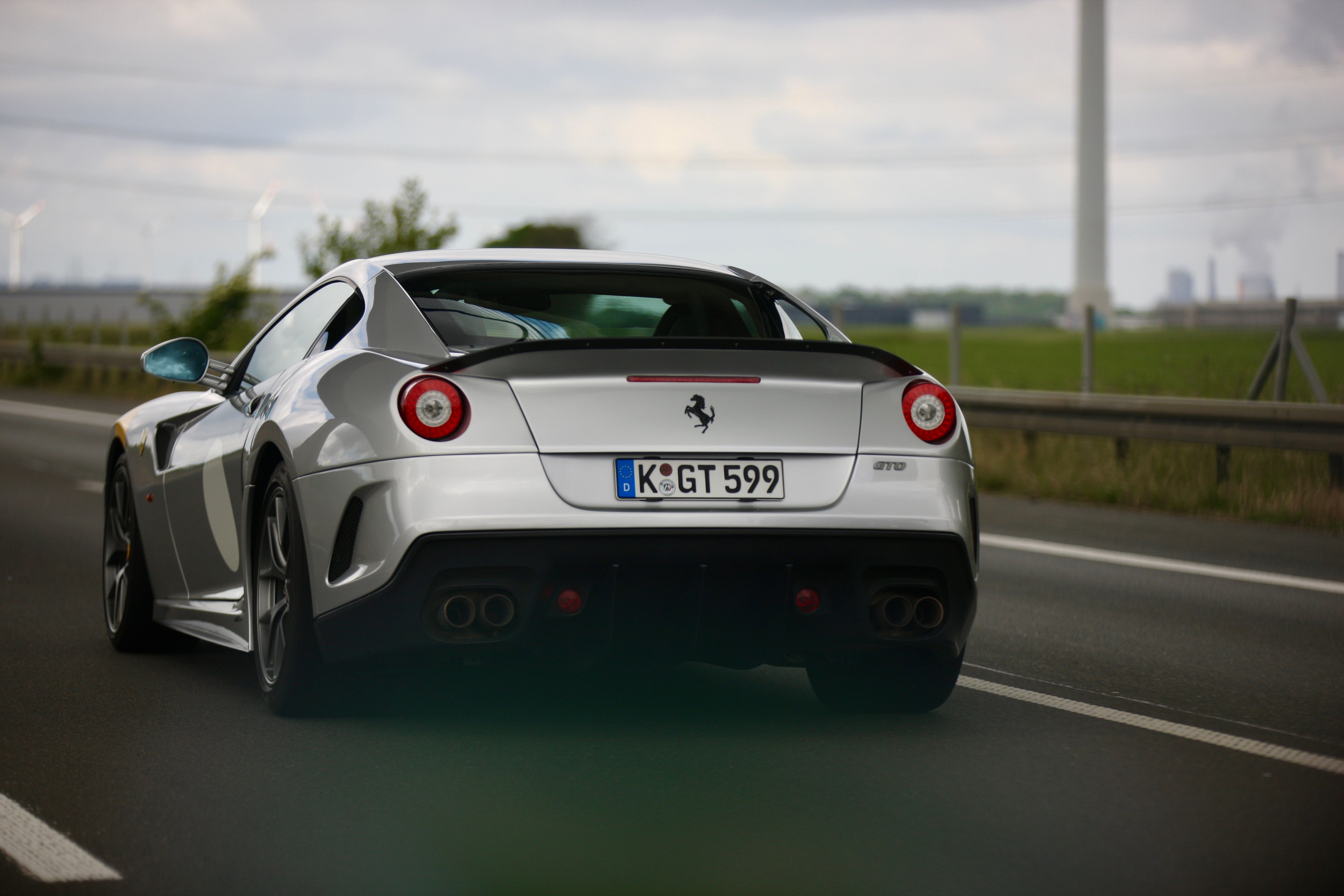 Mustang on Road · Free Stock Photo