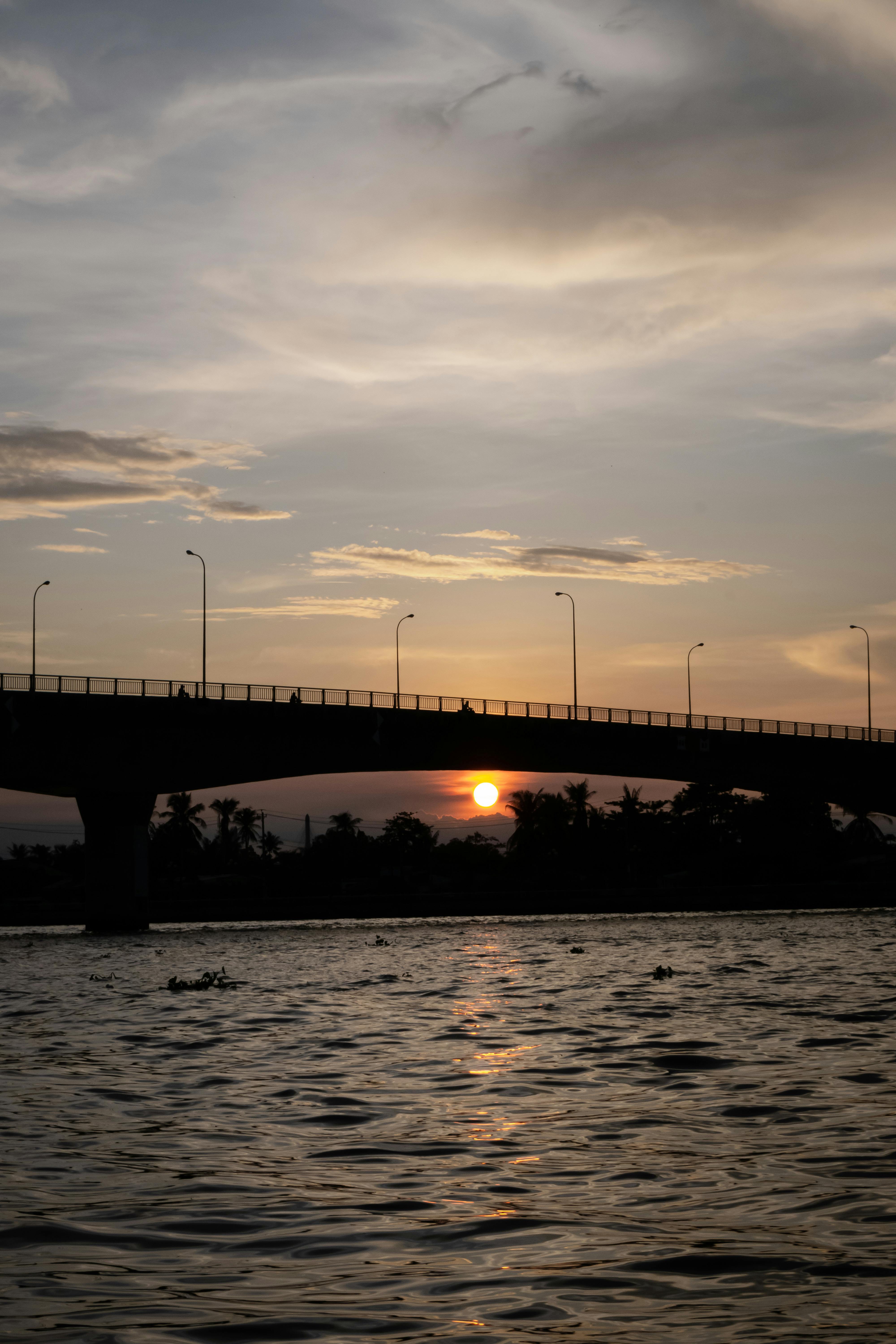 14+ Best Free Risers Stock Photos & Images · 100% Royalty-Free HD Downloads