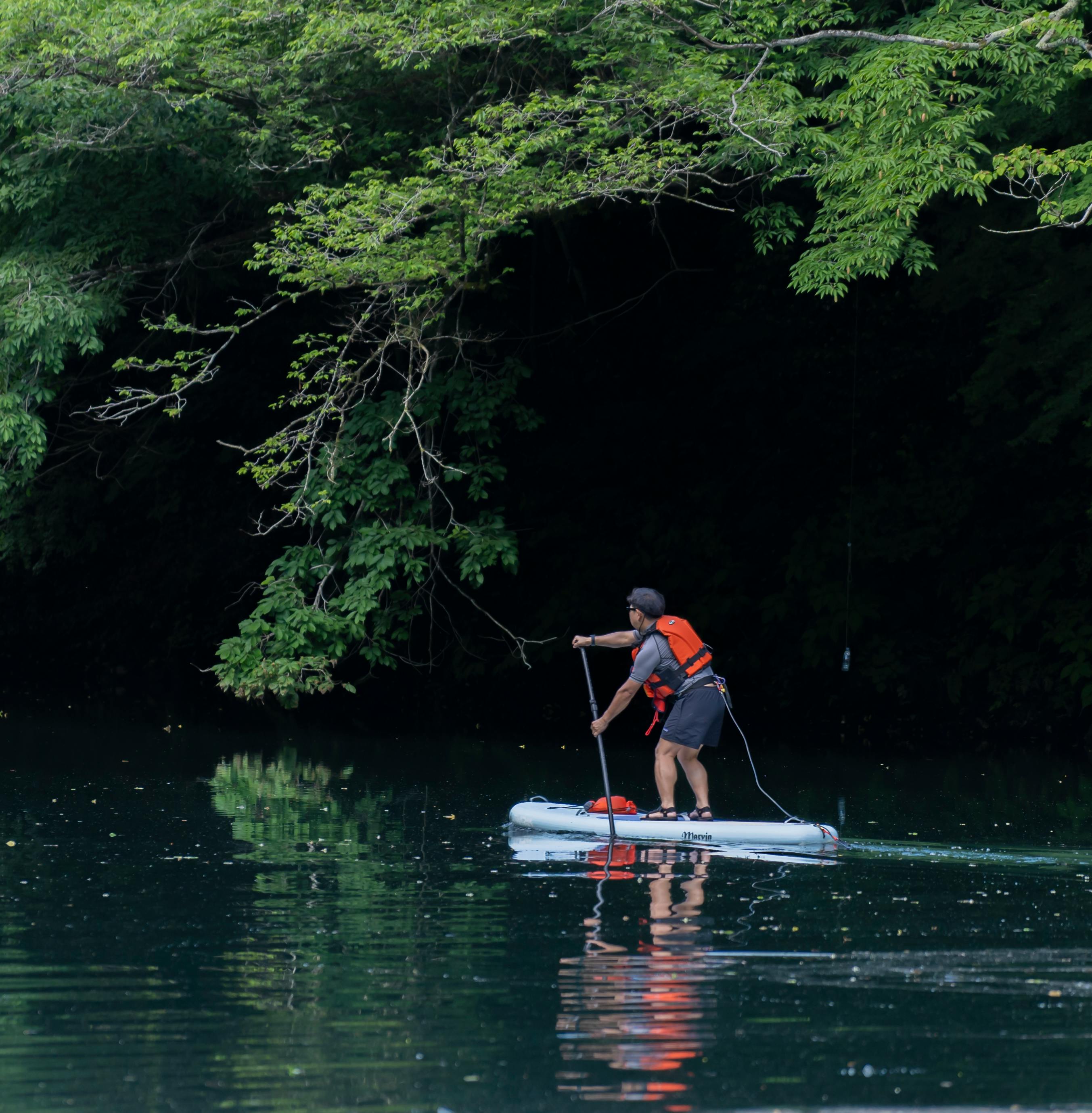KLT Dinusha - 摄影