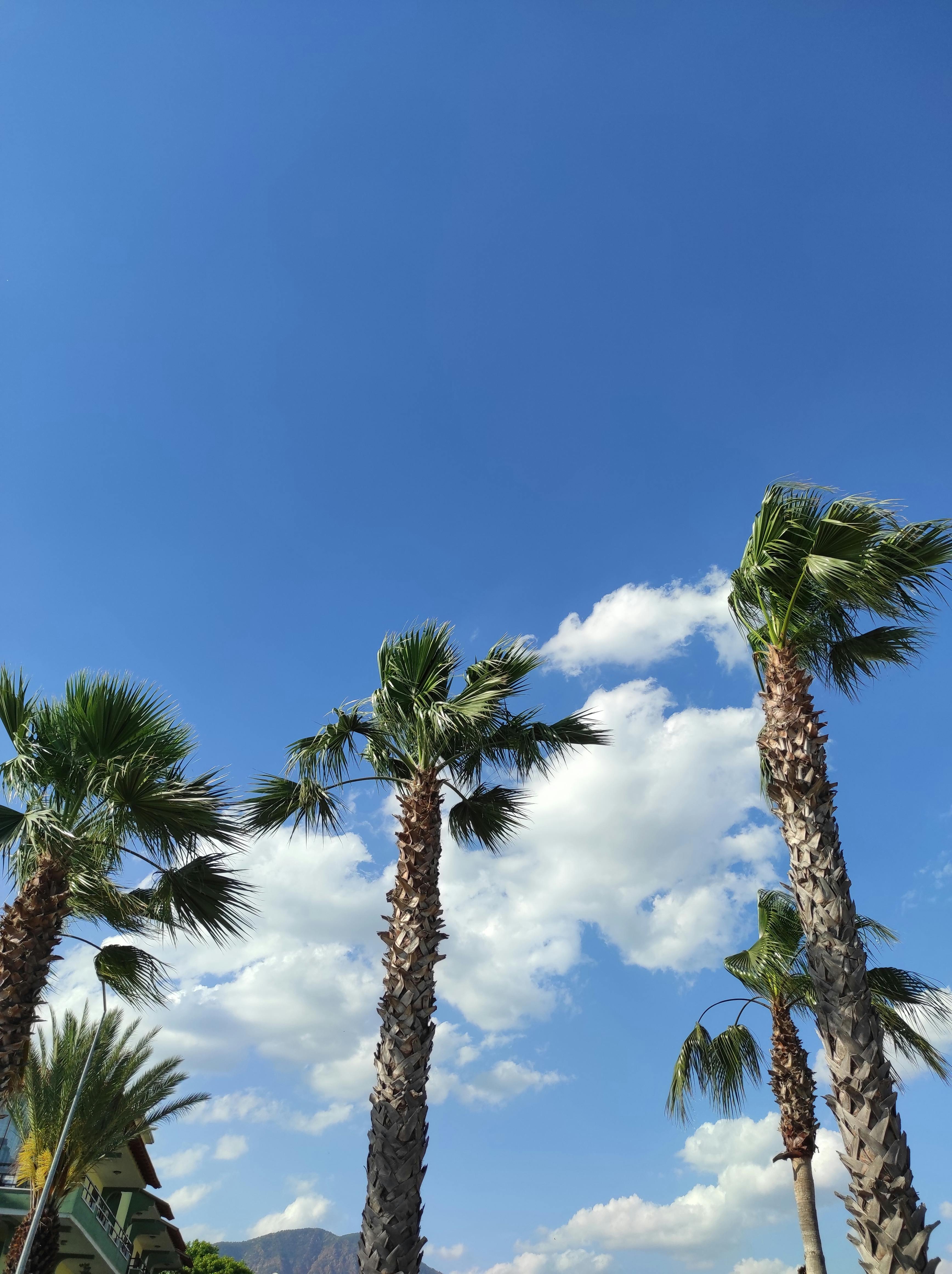 Gamze Ermen - Photography