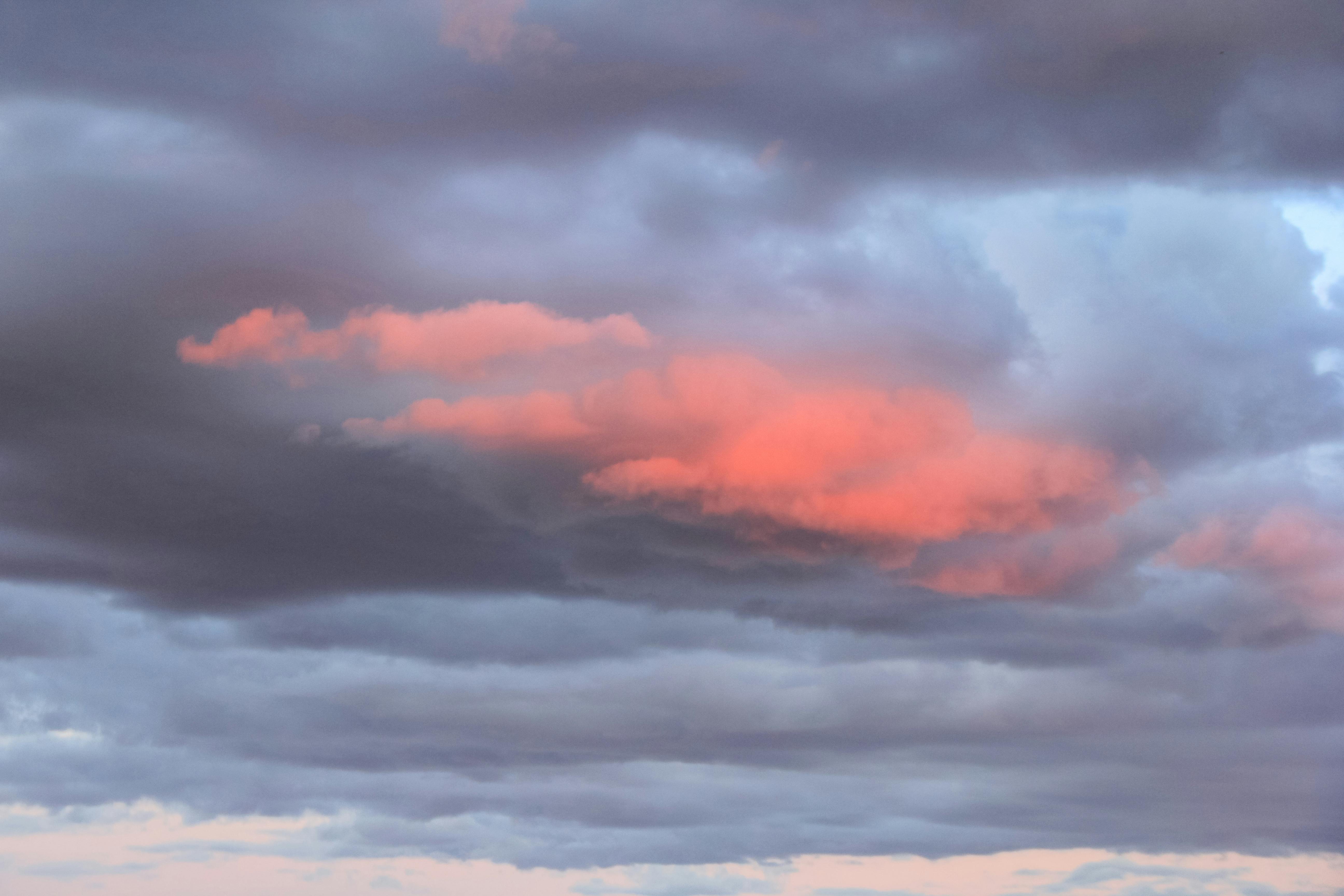 Alexander Paramonov - Fotoğrafçılık