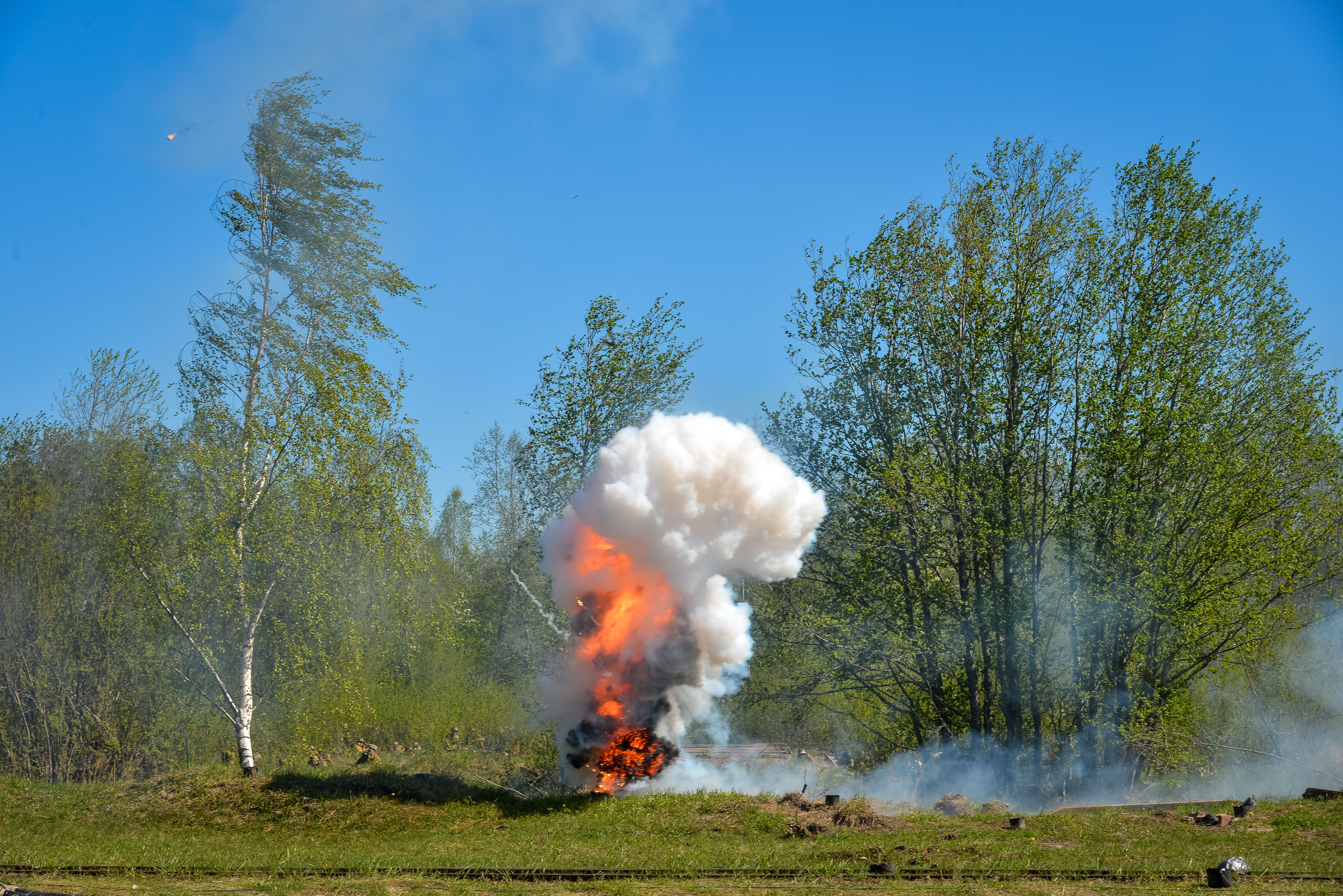 A Fire in a Forest · Free Stock Photo