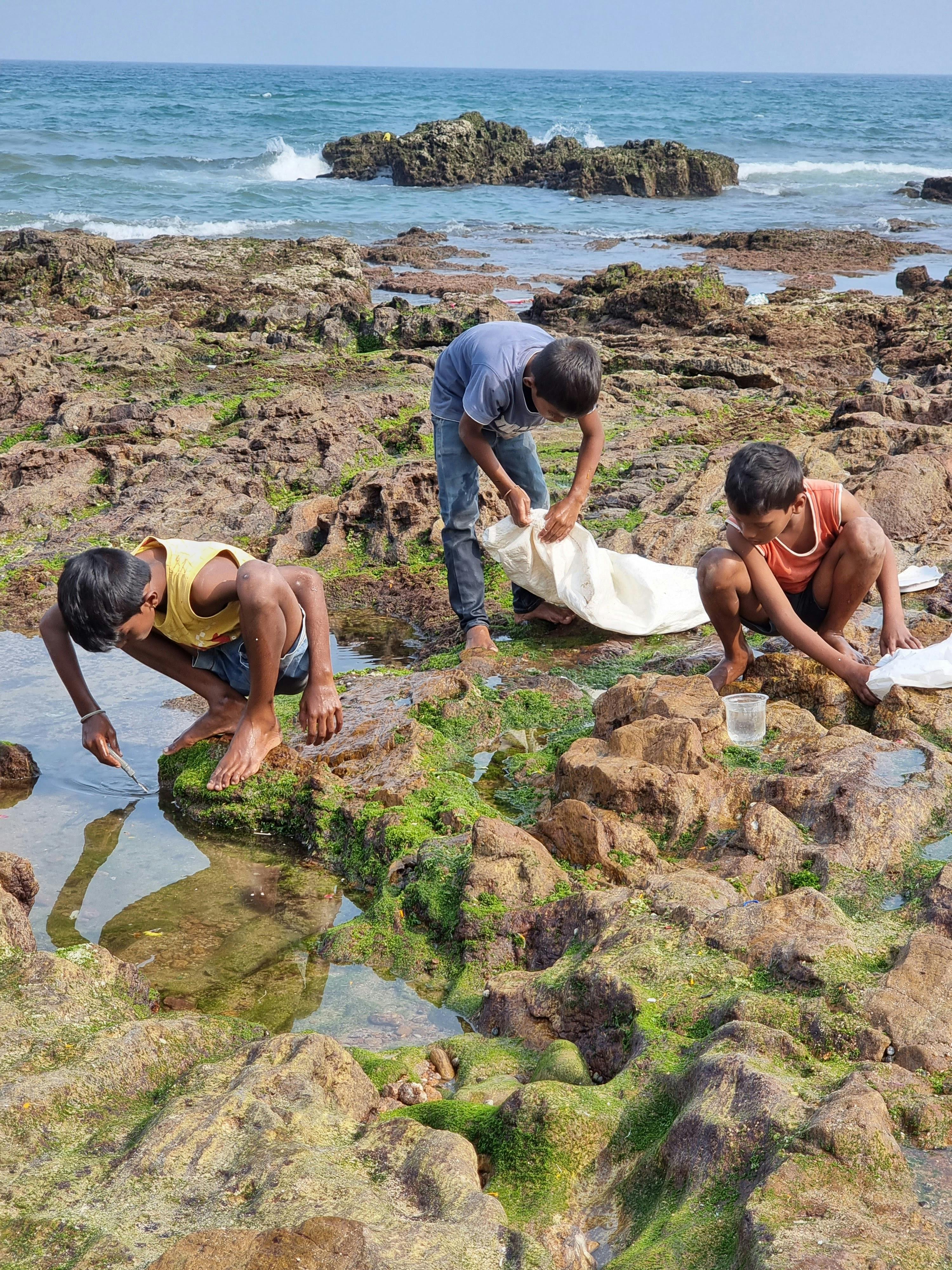 Boys on a Rocky Shore · Free Stock Photo