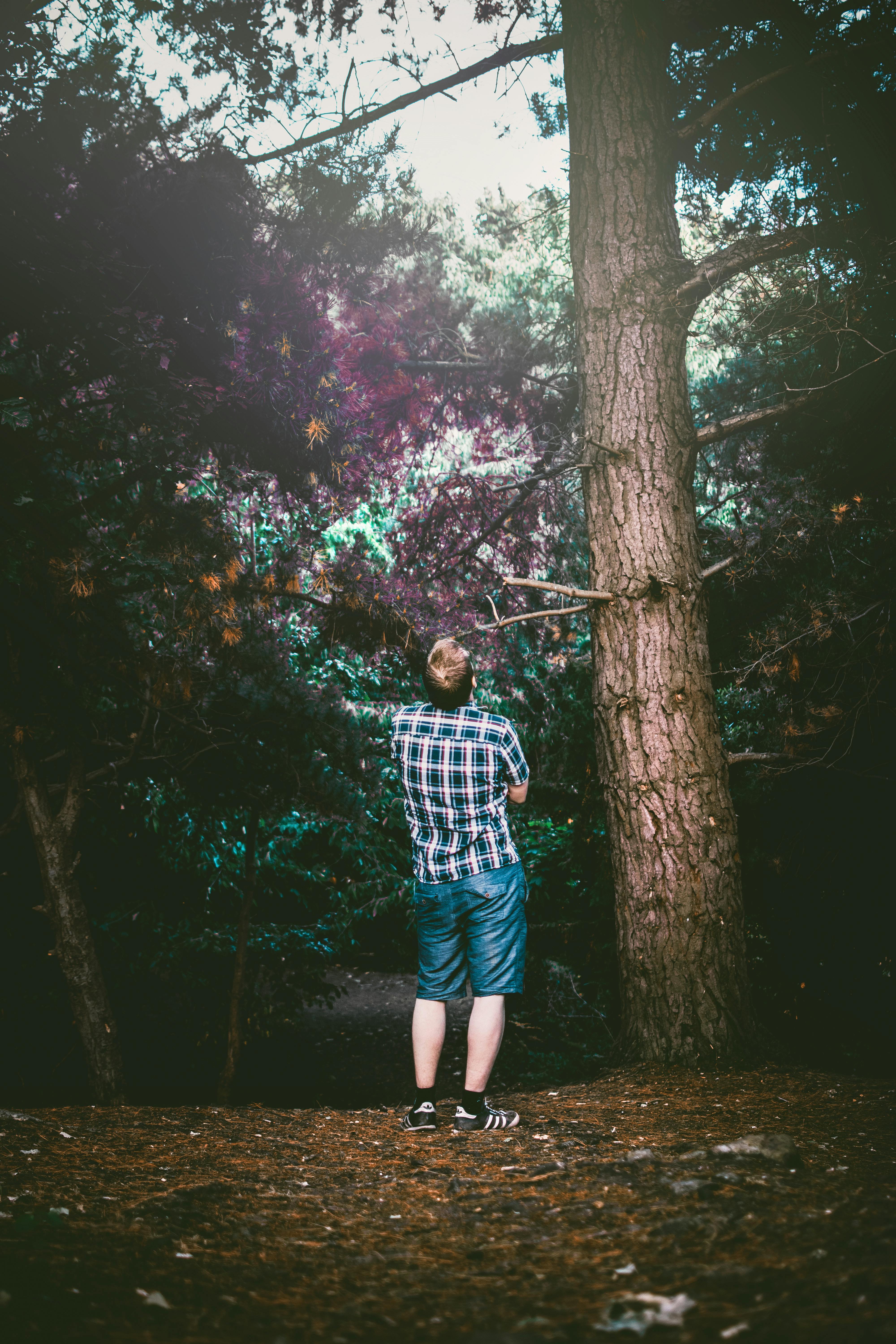 Man Standing and Looking Under Tree · Free Stock Photo