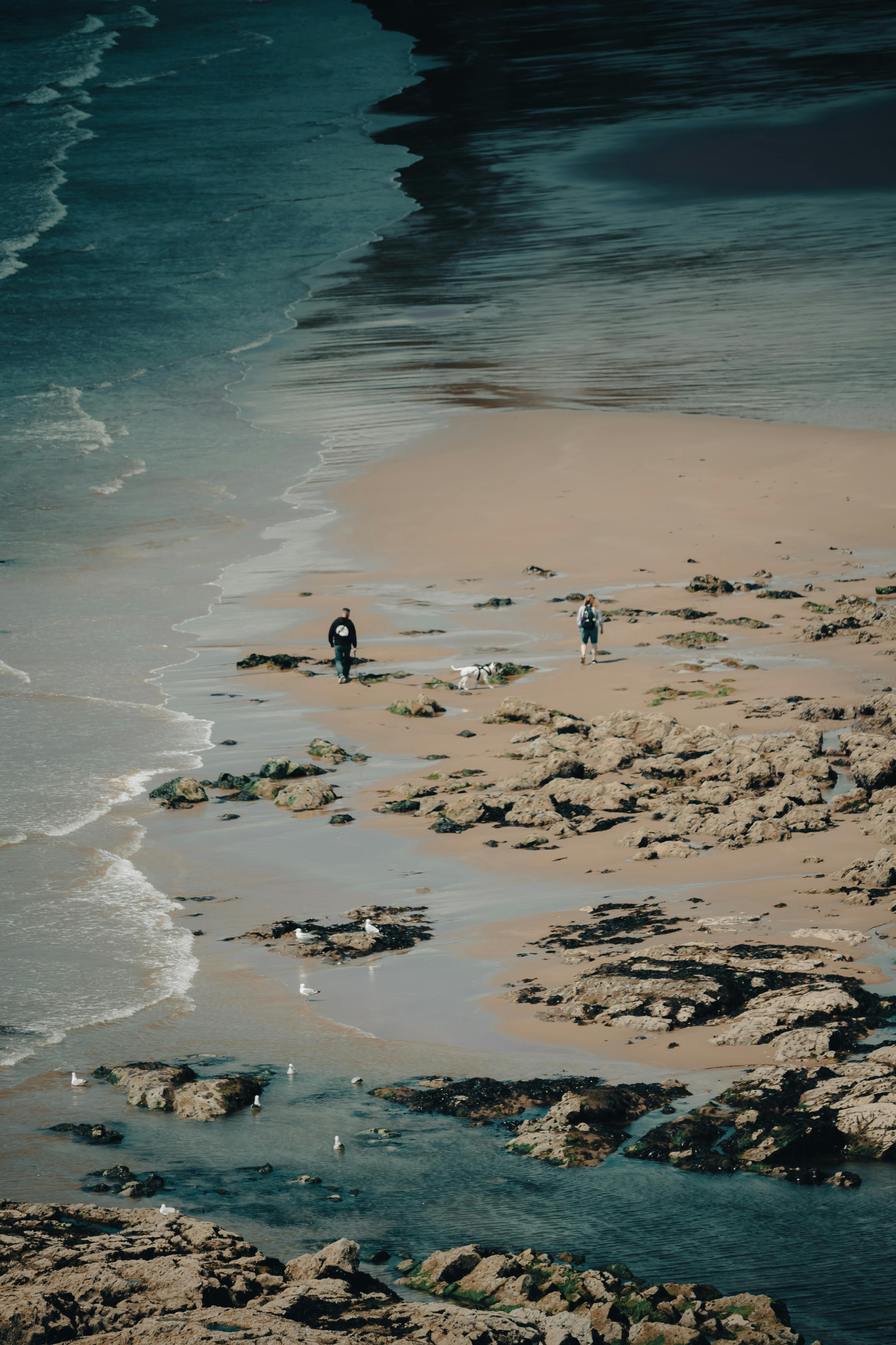 Aerial View of Two People on the Beach · Free Stock Photo