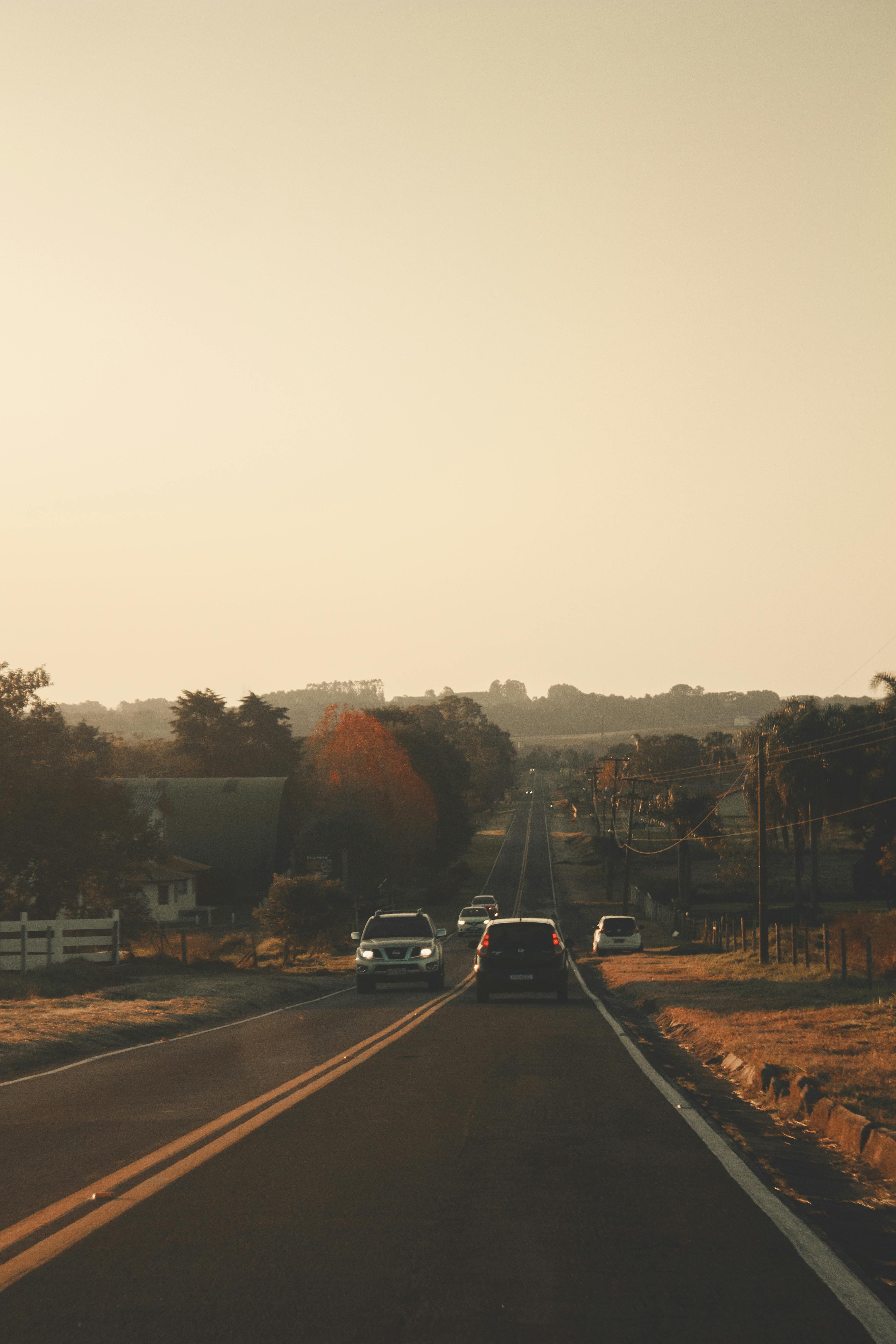 Motor Vehicles on the Road · Free Stock Photo