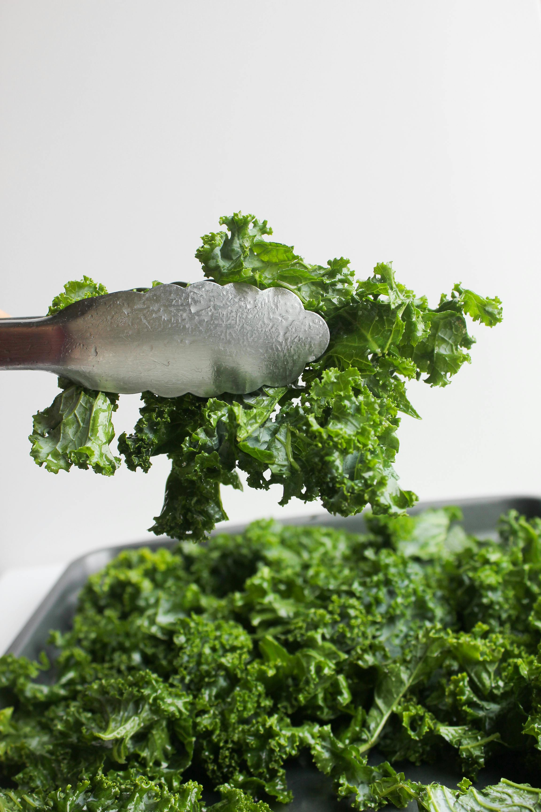 160+ Best Free Kale Stock Photos & Images · 100% Royalty-Free HD Downloads