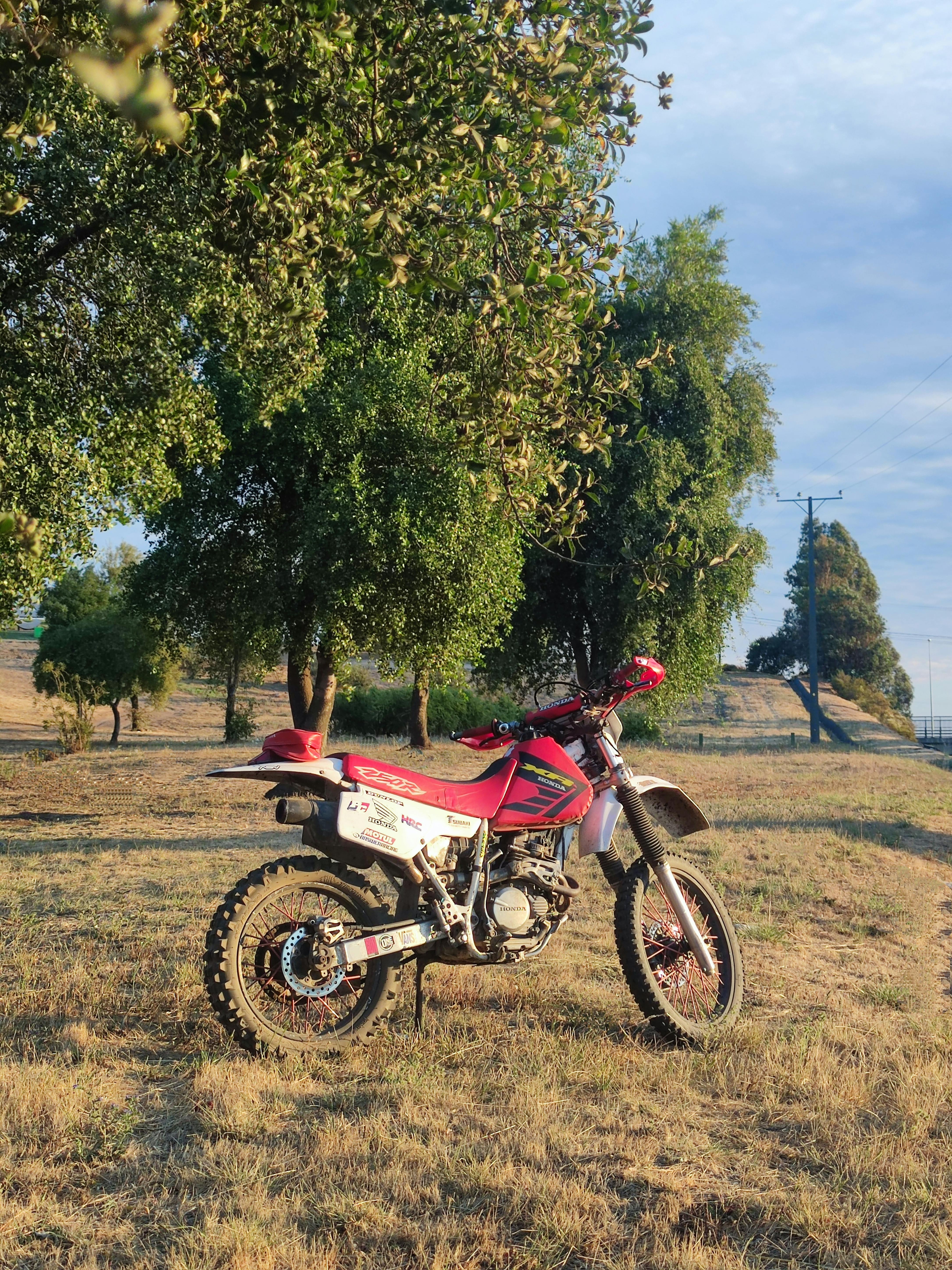 Motorbike near Trees · Free Stock Photo