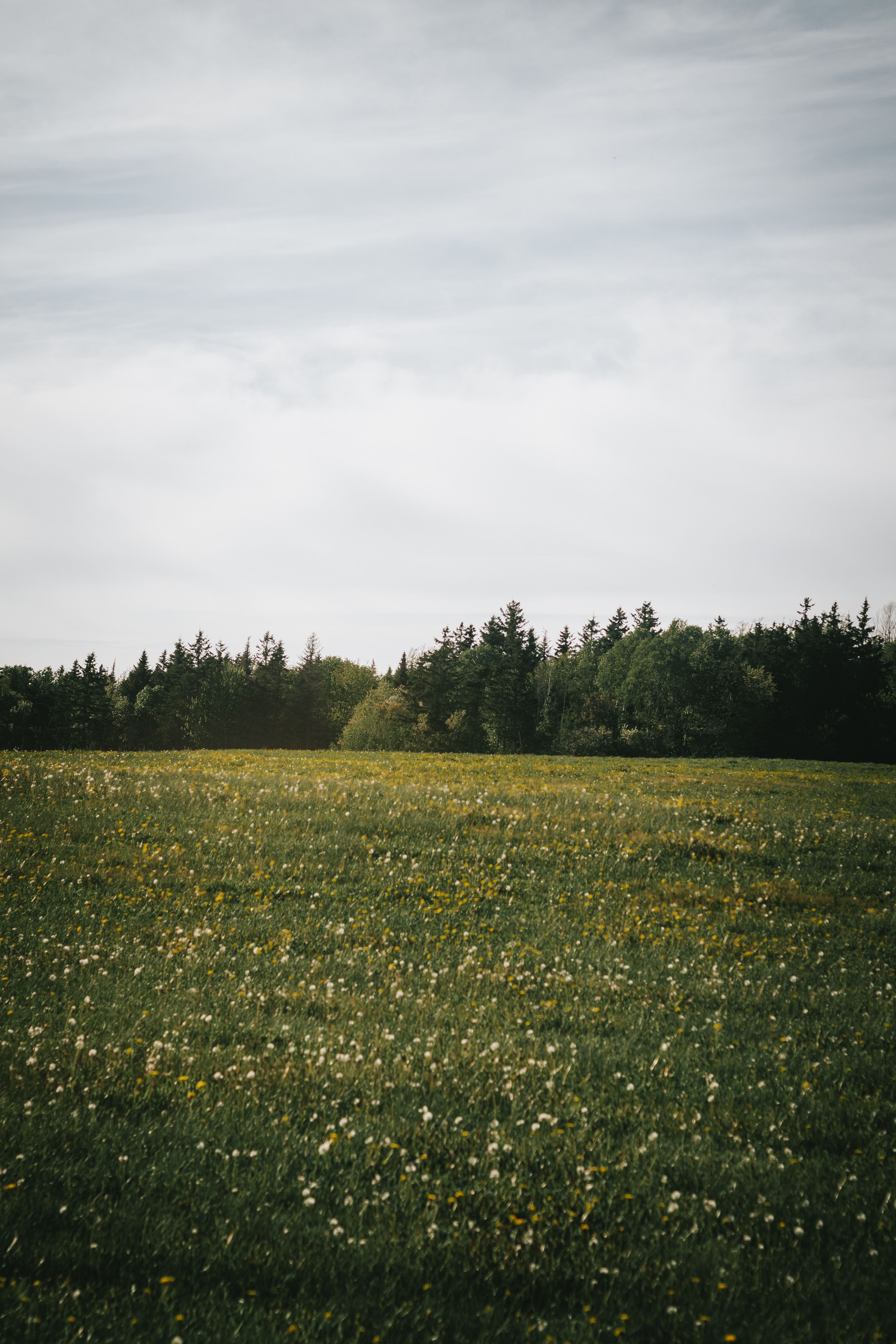 Meadow and Fields on Hills · Free Stock Photo