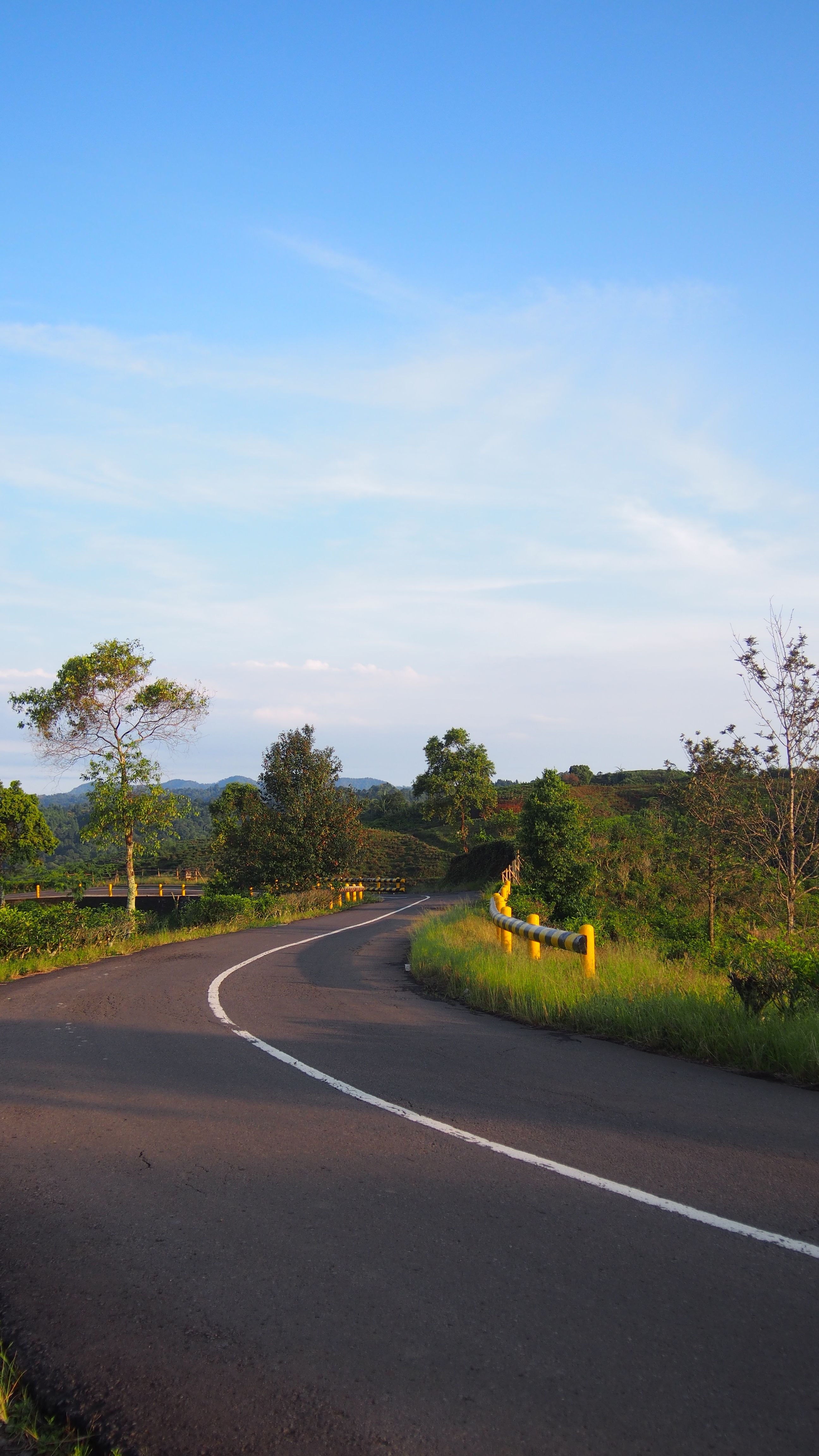 A Road between Houses in the Countryside · Free Stock Photo