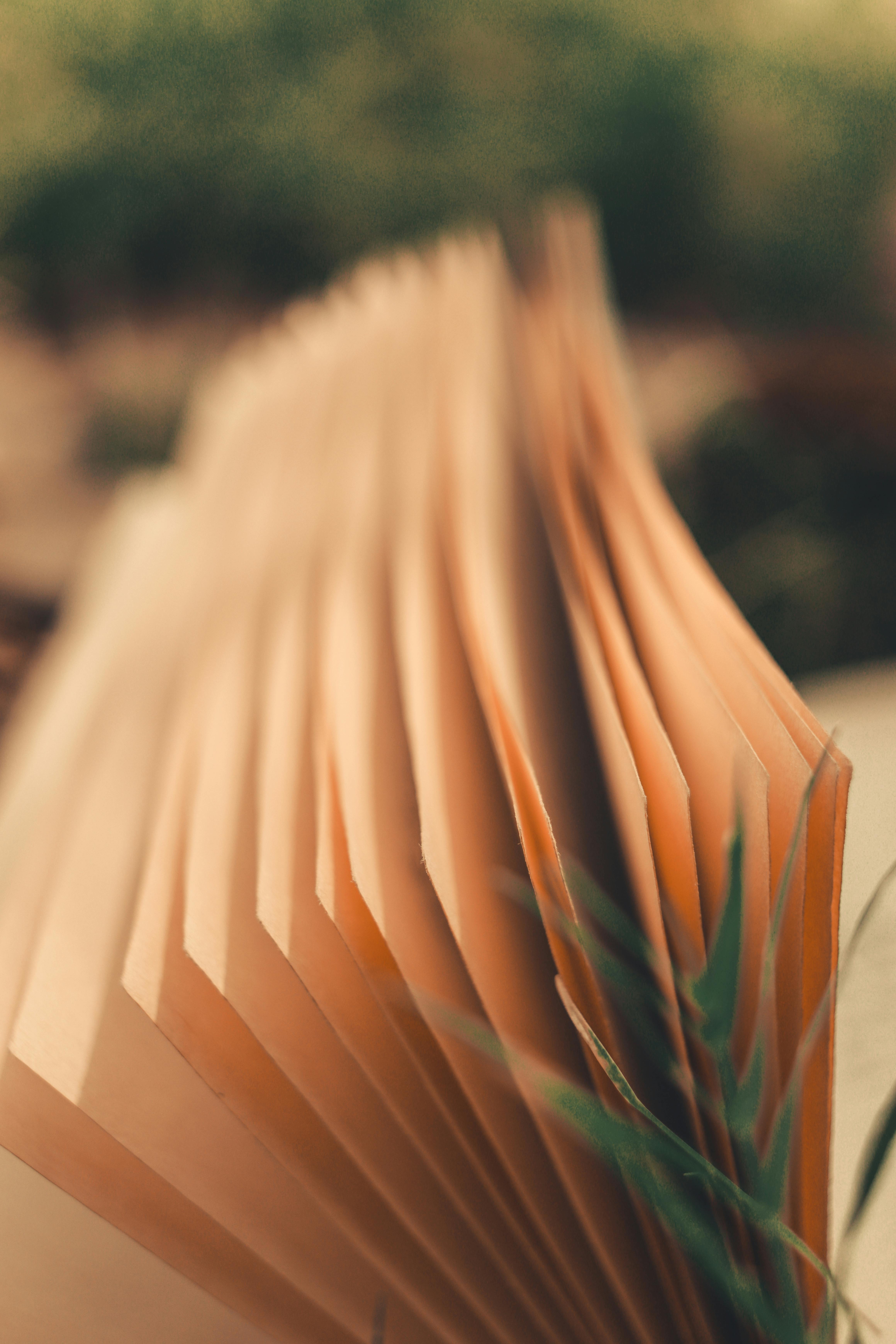 Close-up of the Book Pages · Free Stock Photo