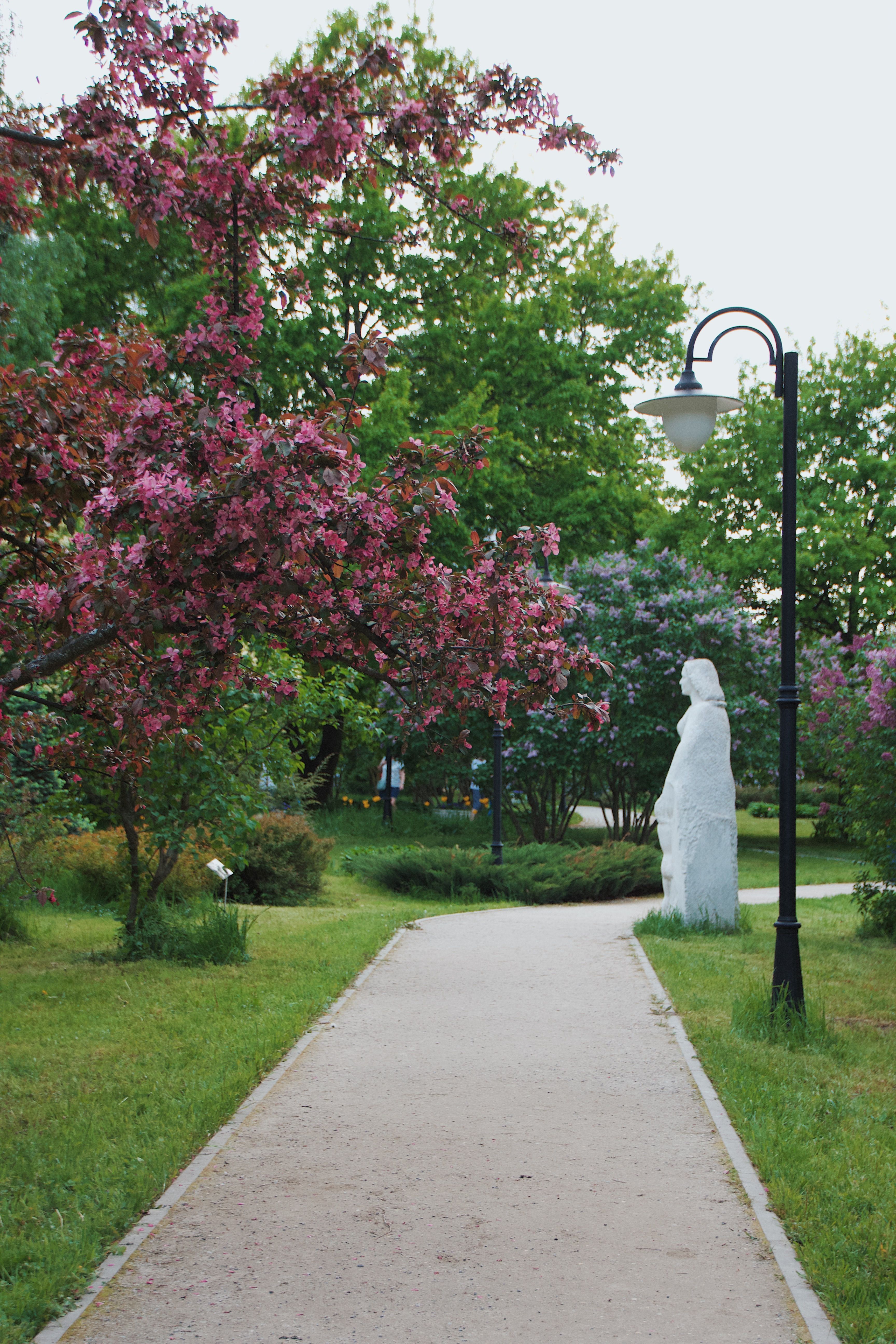 Park with Statue and Red Leaf Tree Near Pathway · Free Stock Photo
