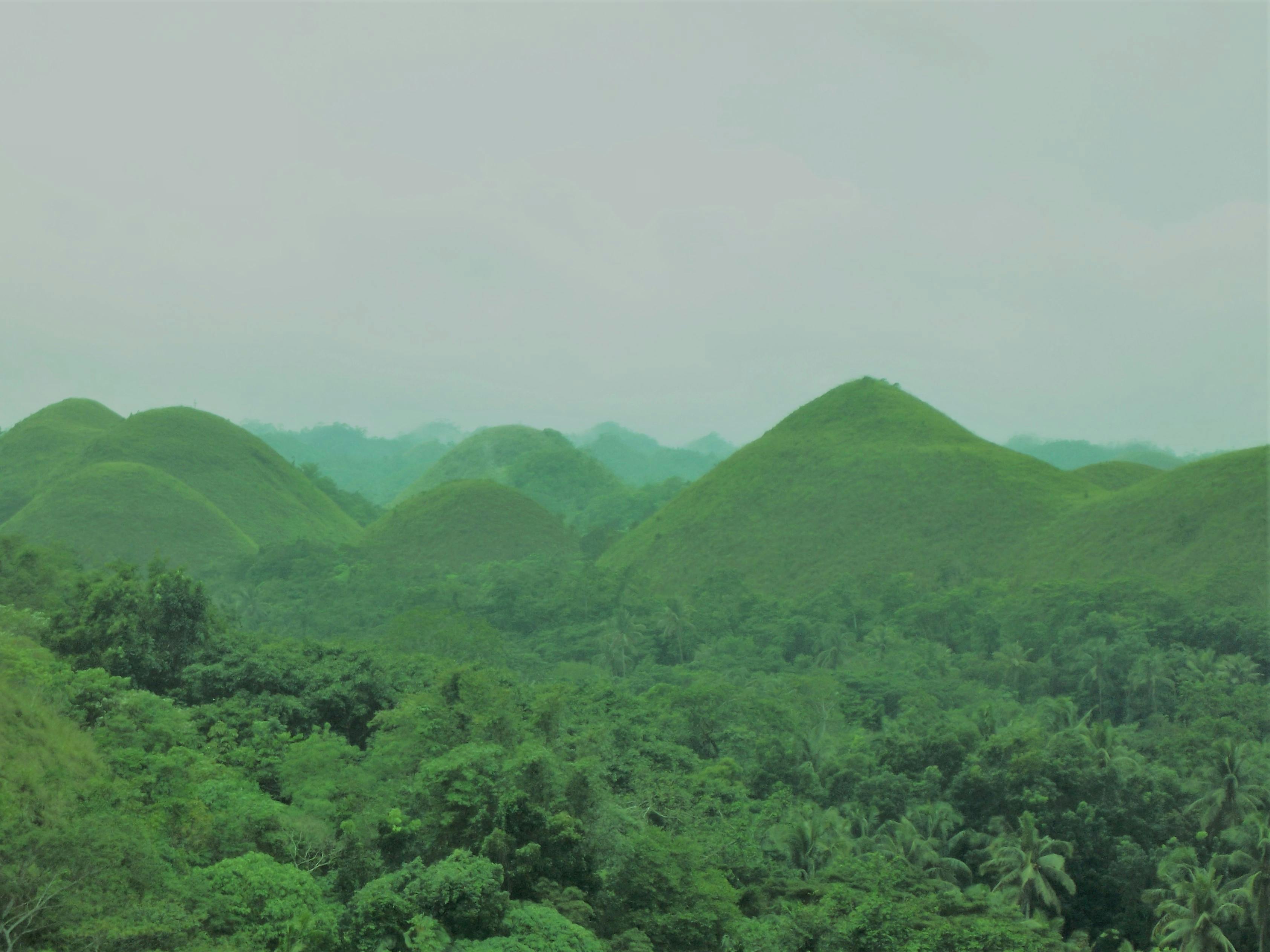 Free stock photo of bangladeshi, environment, hill