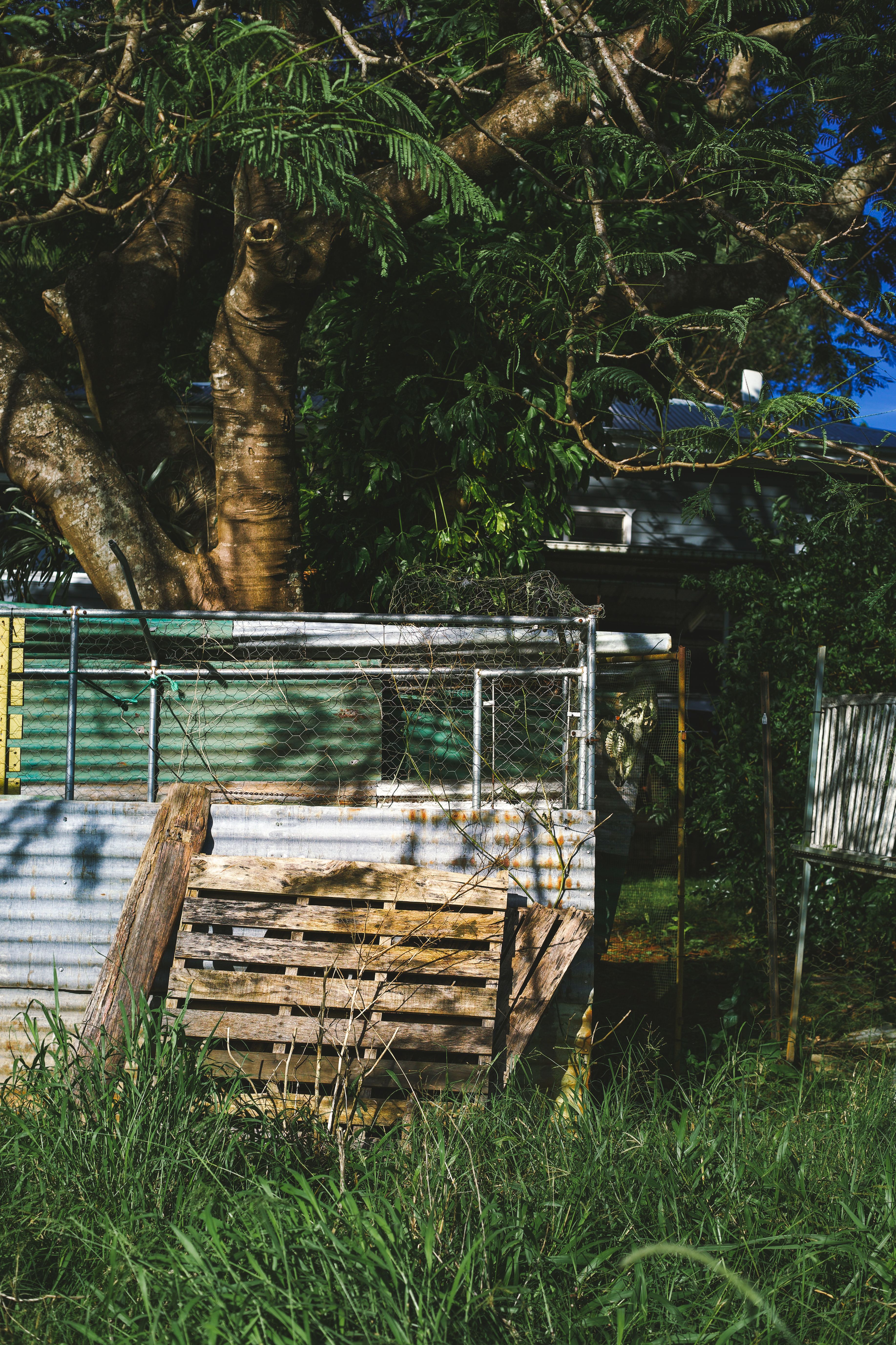 Photo of a Shed Under a Tree · Free Stock Photo