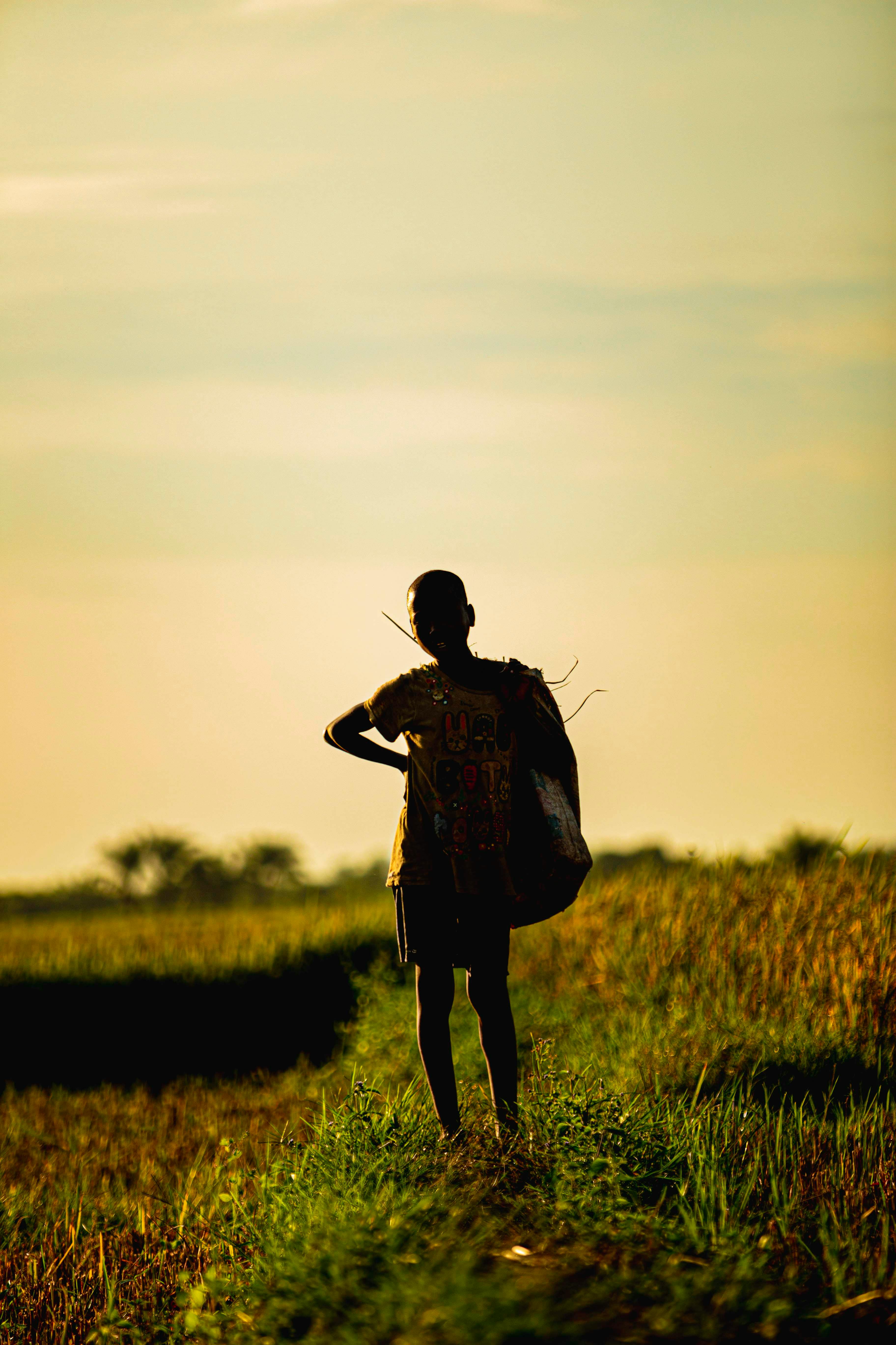 Photo of People Standing Near Tree During Golden Hour · Free Stock Photo