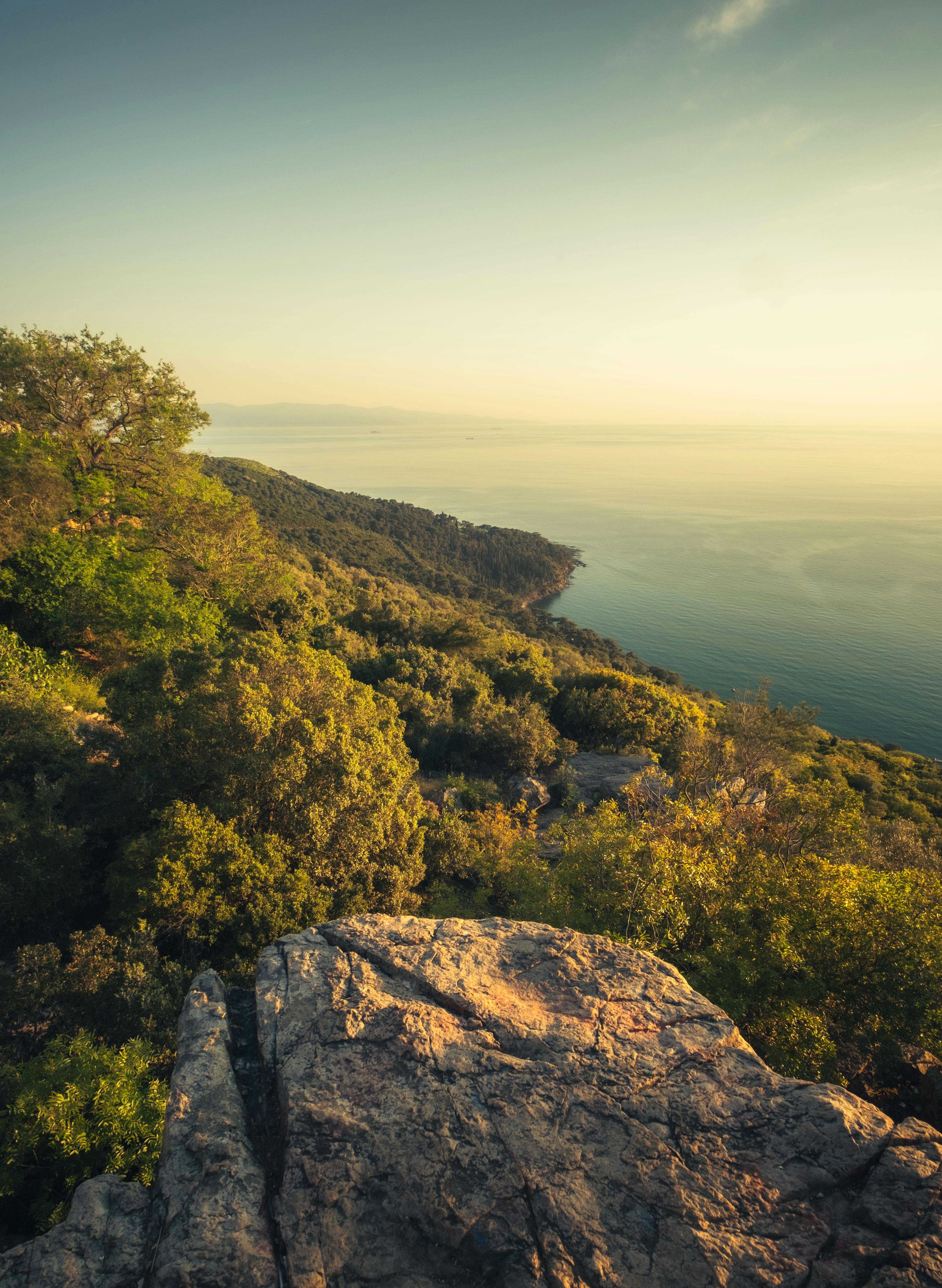 Viewpoint Footage Photos, Download The BEST Free Viewpoint Footage ...