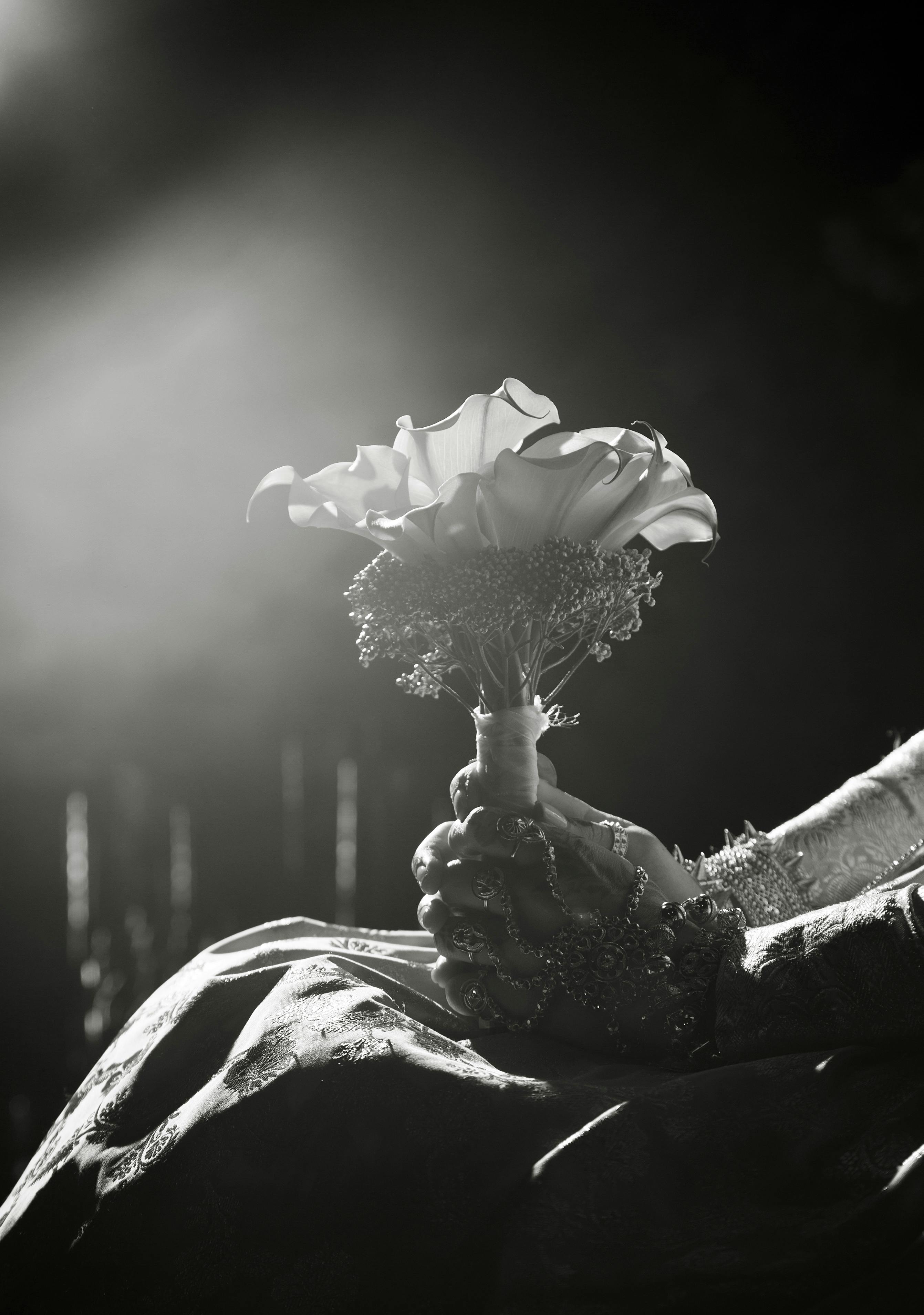 Person Handing Over a Flower · Free Stock Photo