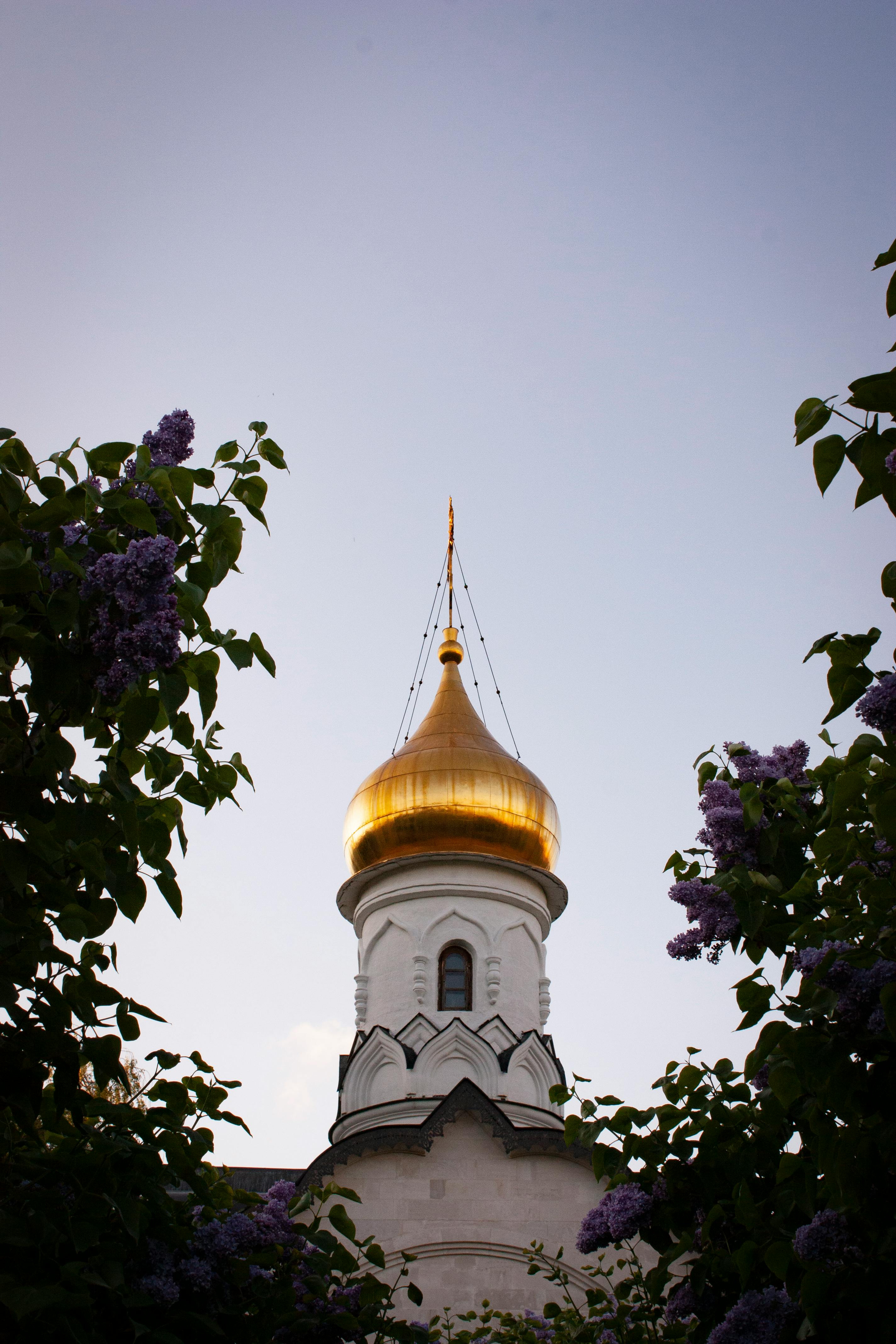 Gold Statue Near Green Trees · Free Stock Photo