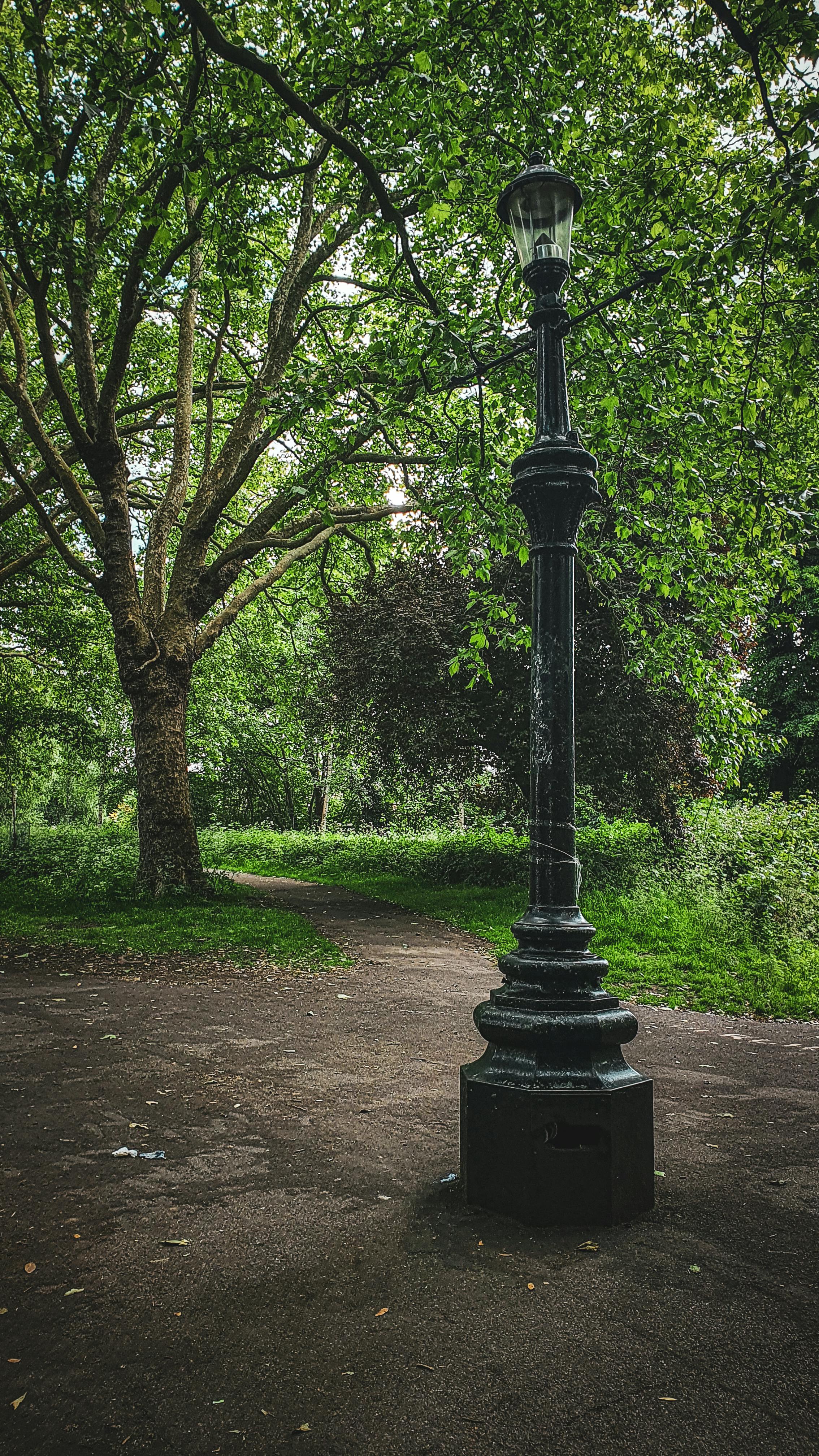 A Street Lamp at the Park with Green Trees · Free Stock Photo