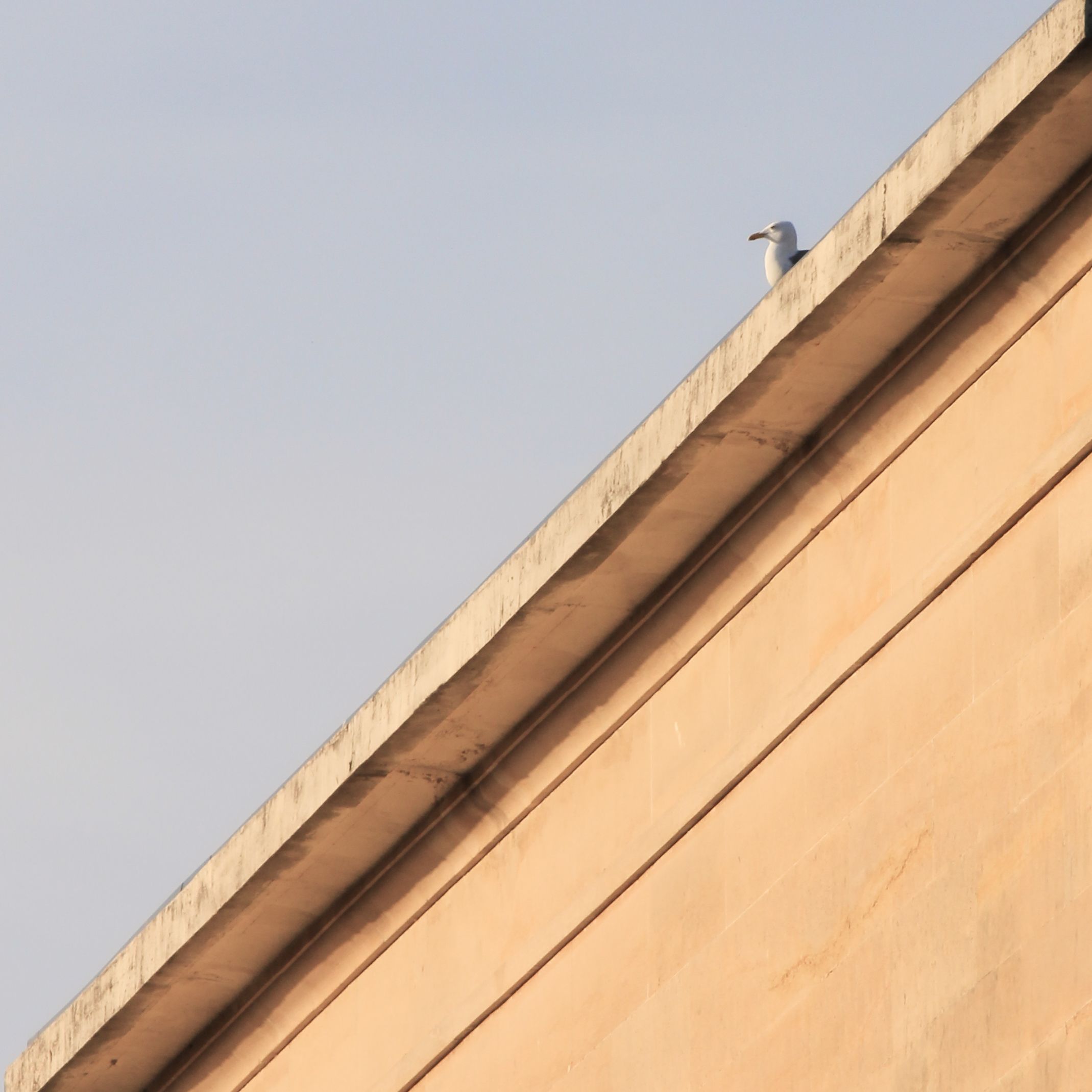 Light over Building Corner in Evening · Free Stock Photo