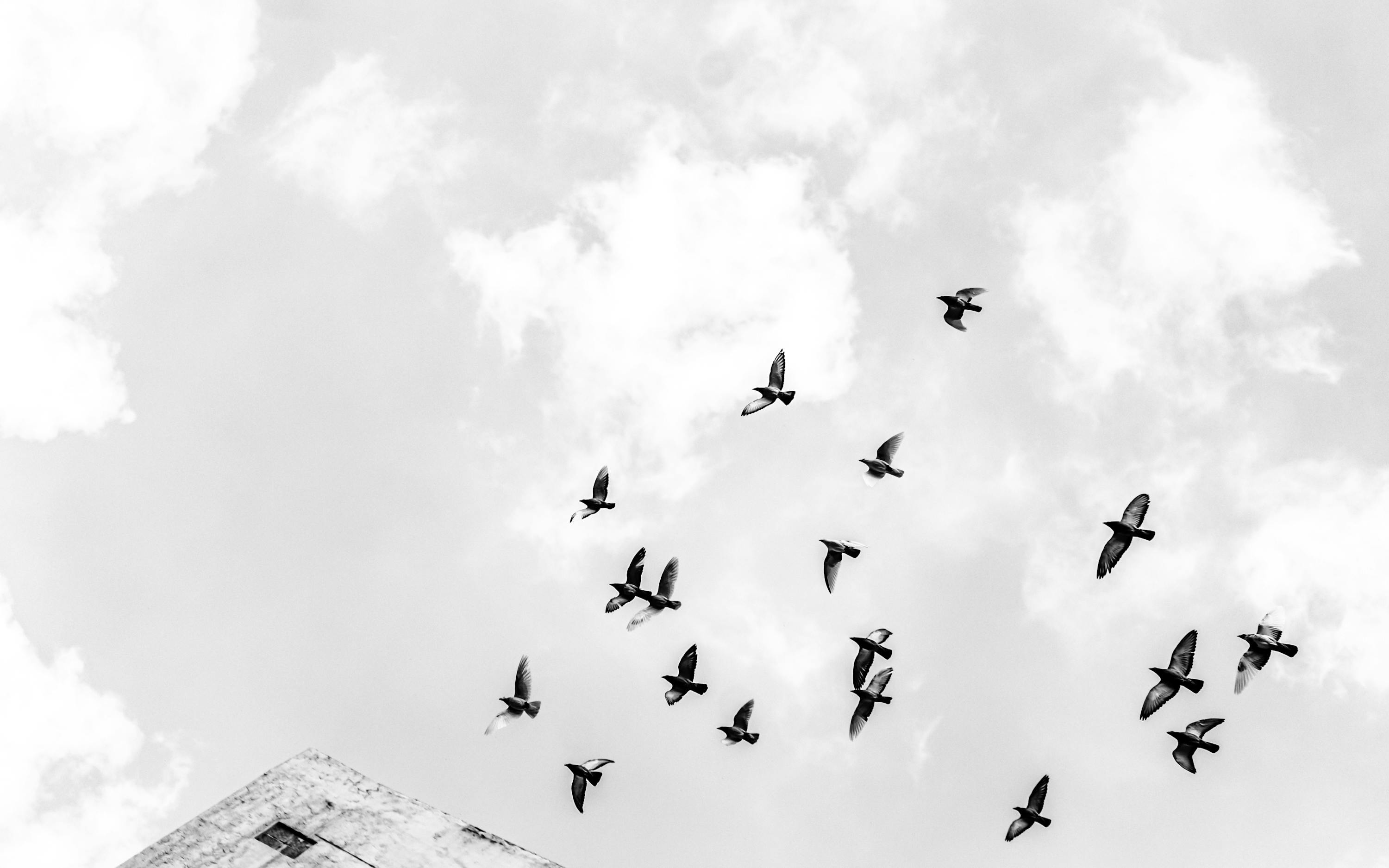 RENDAN CATIPAY - 摄影