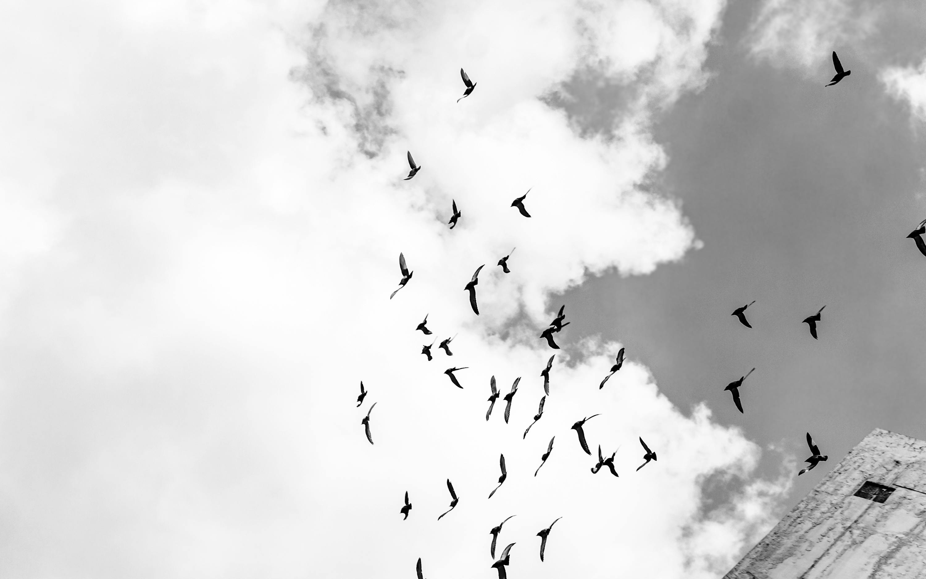 RENDAN CATIPAY - Photography