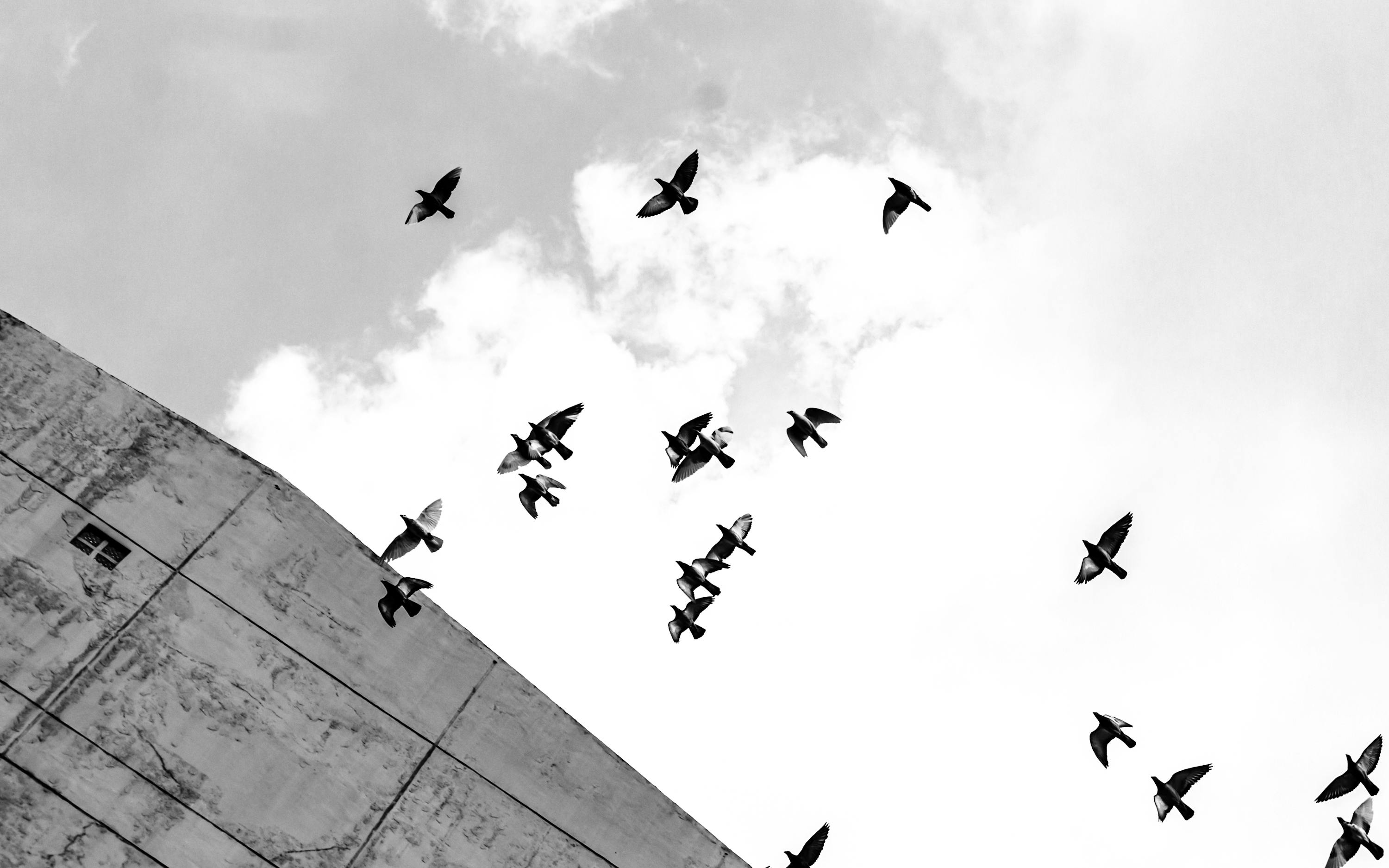 RENDAN CATIPAY - 摄影