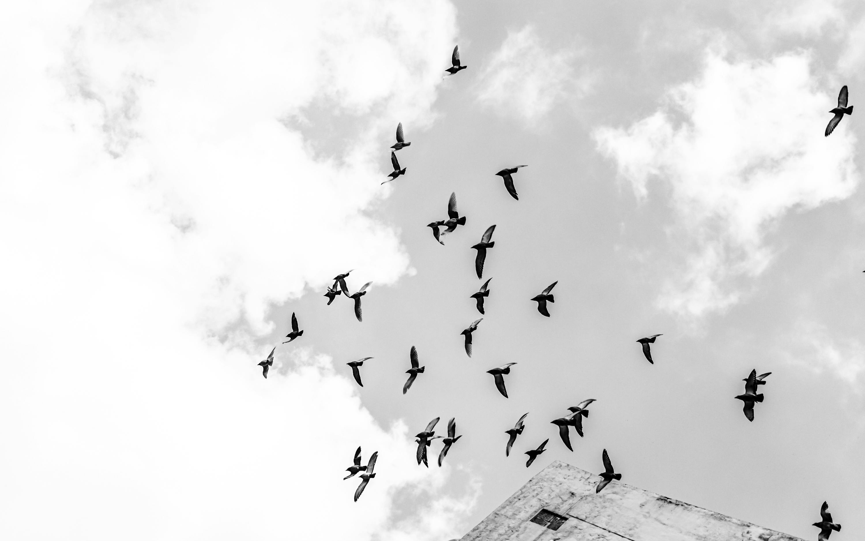 RENDAN CATIPAY - 摄影