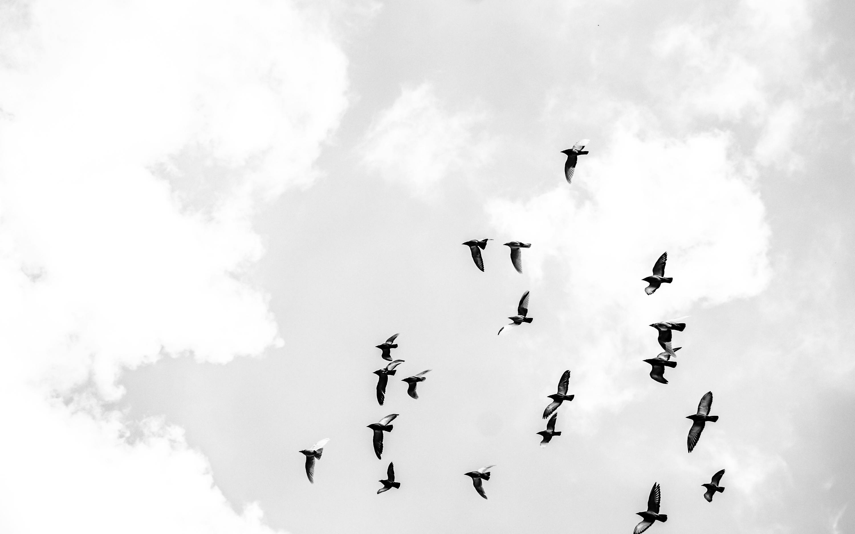 RENDAN CATIPAY - 摄影