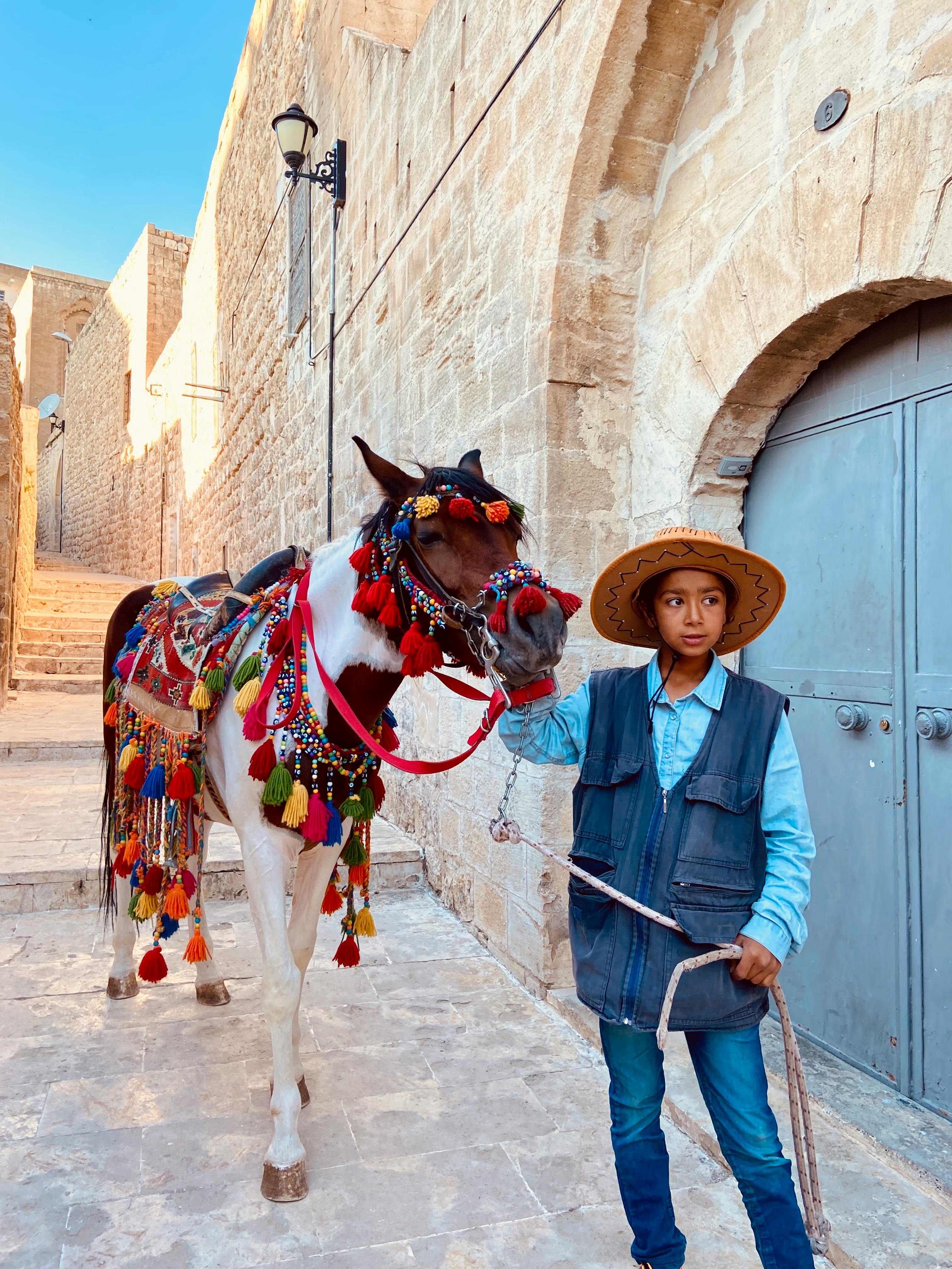 Man Removing a Horse Shoe · Free Stock Photo