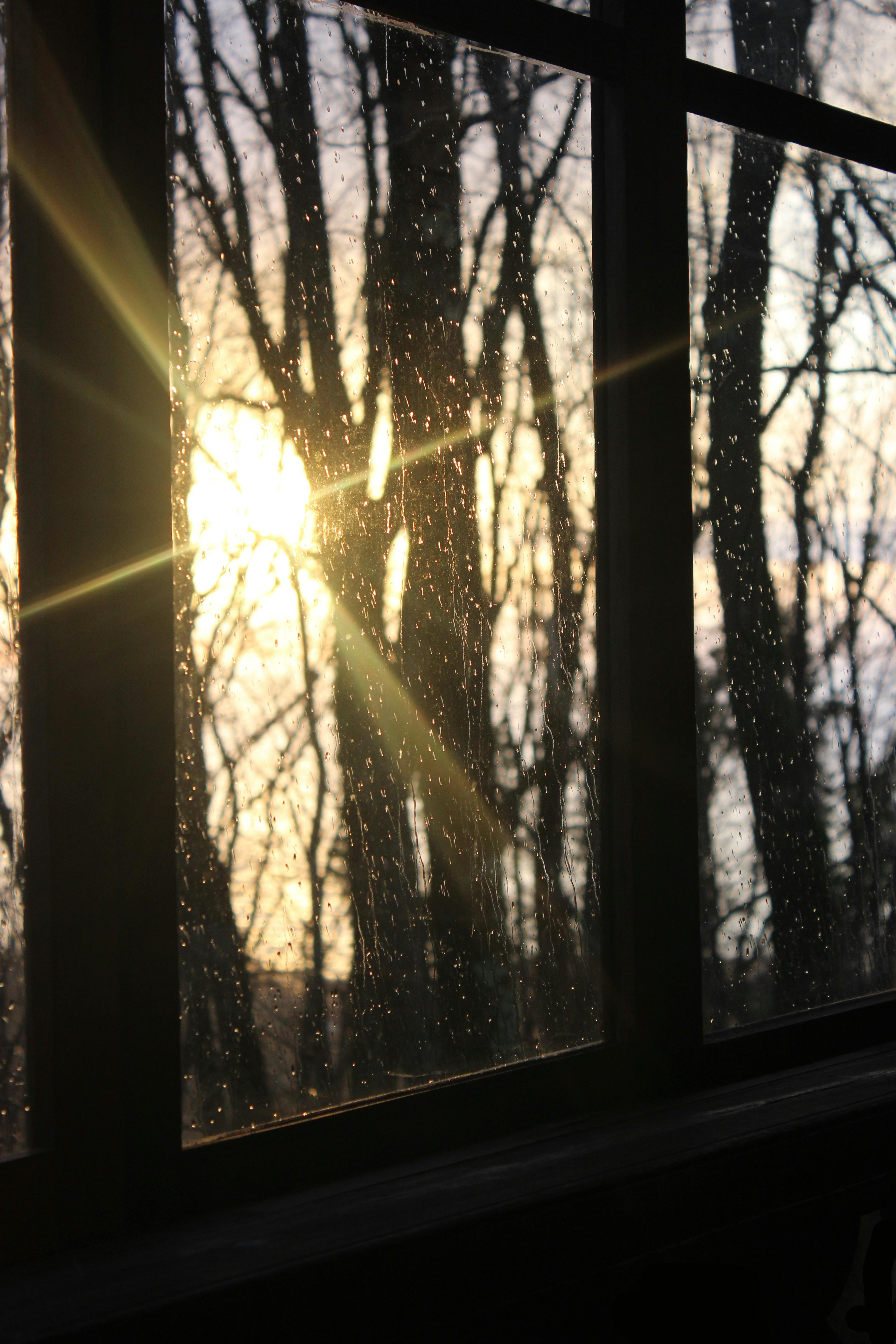Photograph of Sun Rays Through a Window · Free Stock Photo