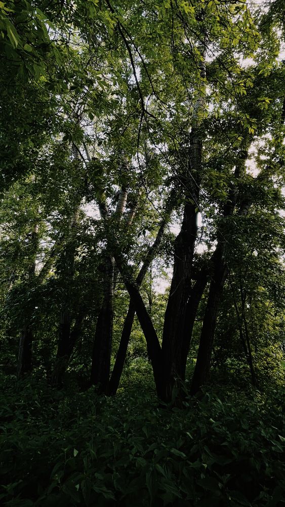 100,000+ Best Nature Images · 100% Royalty Free Pictures to Download ...