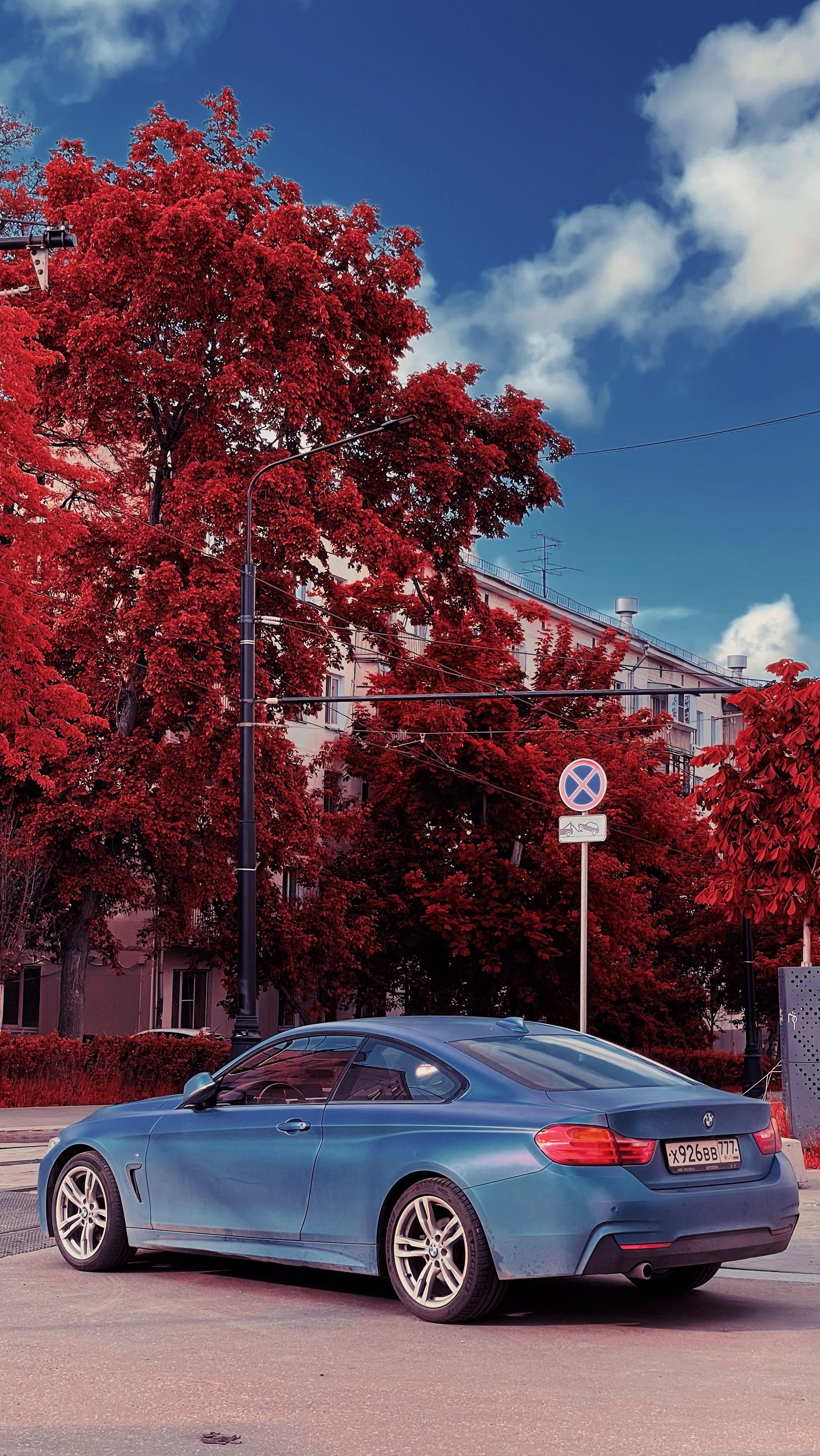 A Blue Car Parked Near Trees · Free Stock Photo