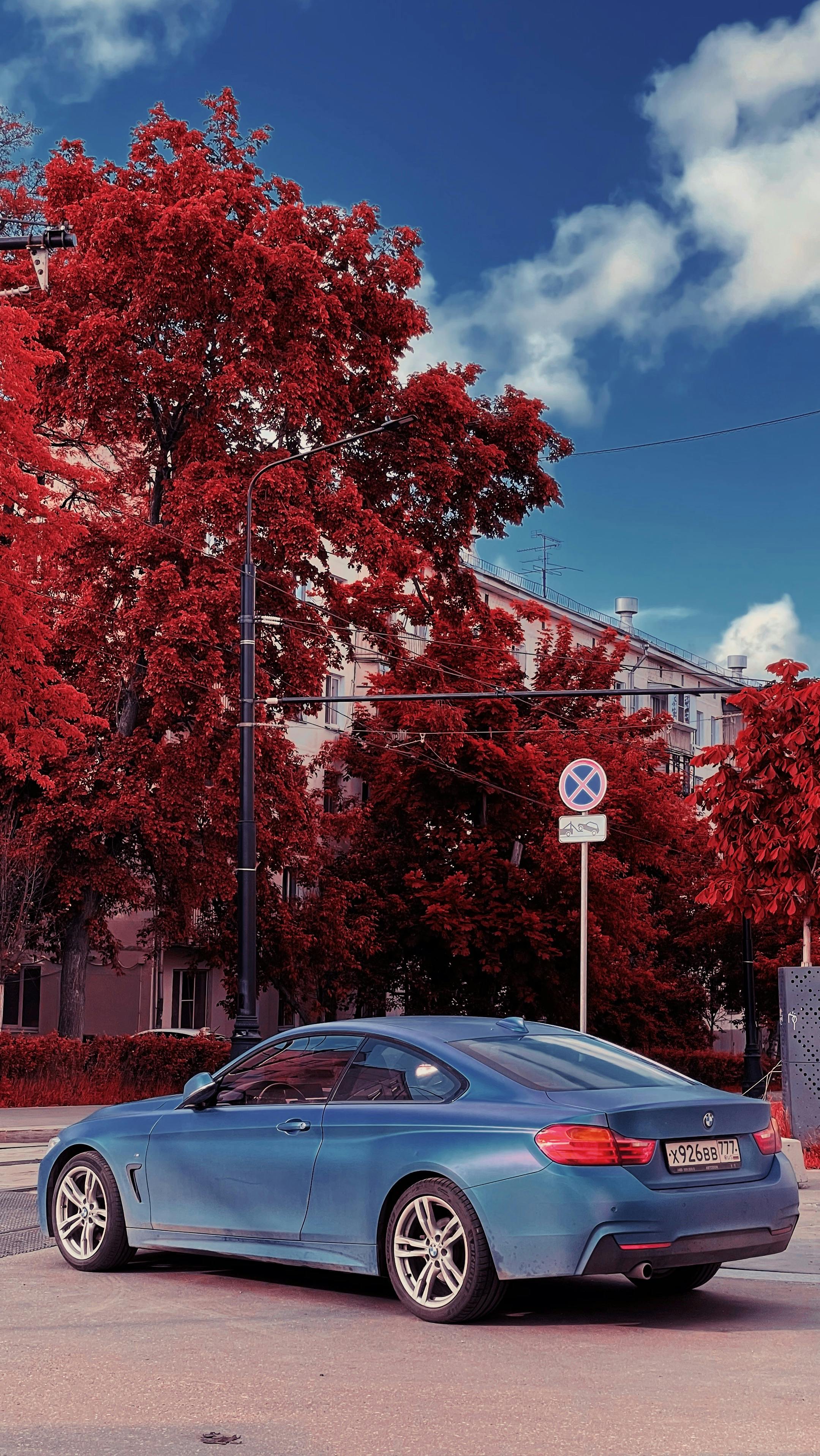 A Black Car Stopping on Road · Free Stock Photo