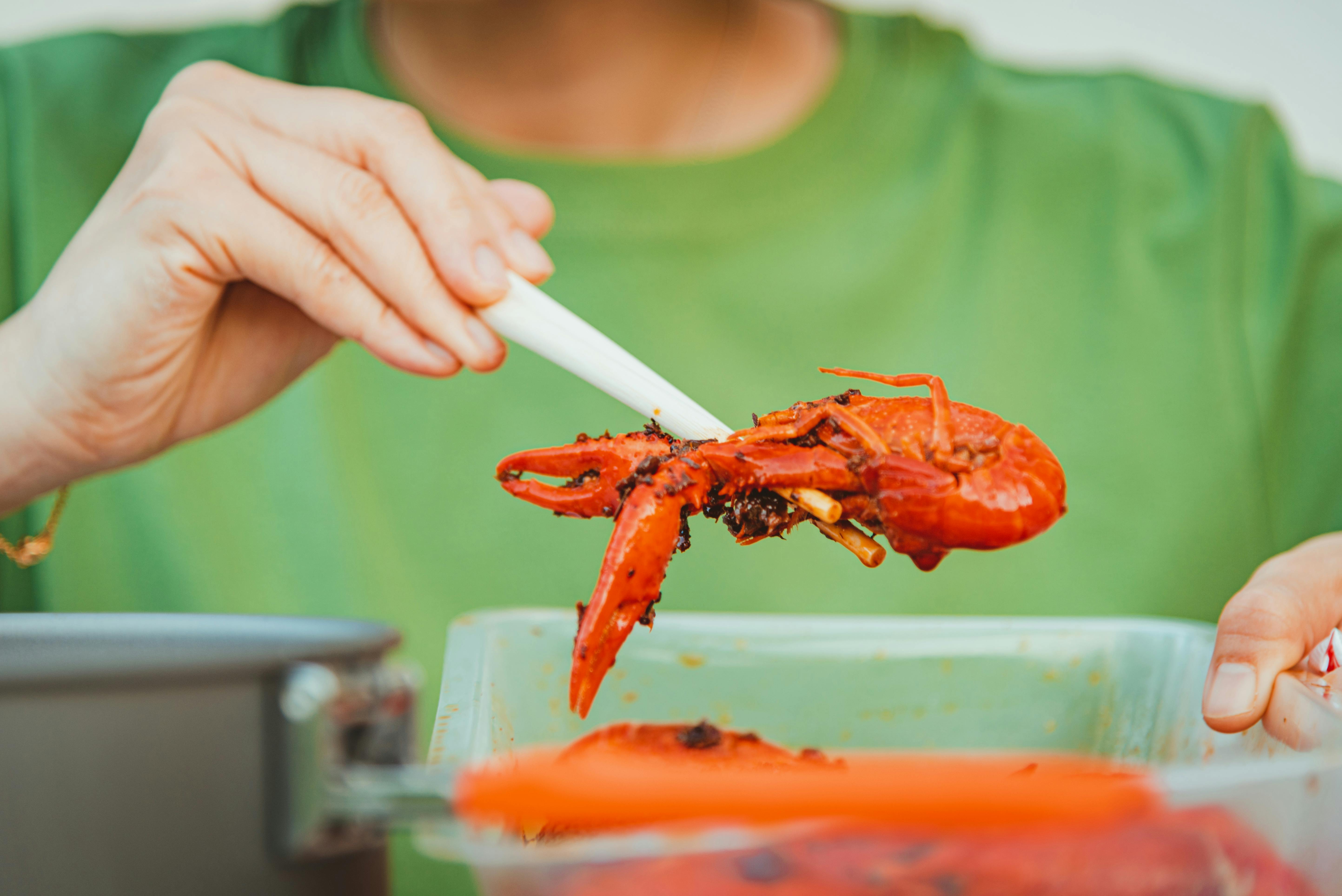 Photo of a Hand Keeping a Lobster with Chopsticks · Free Stock Photo
