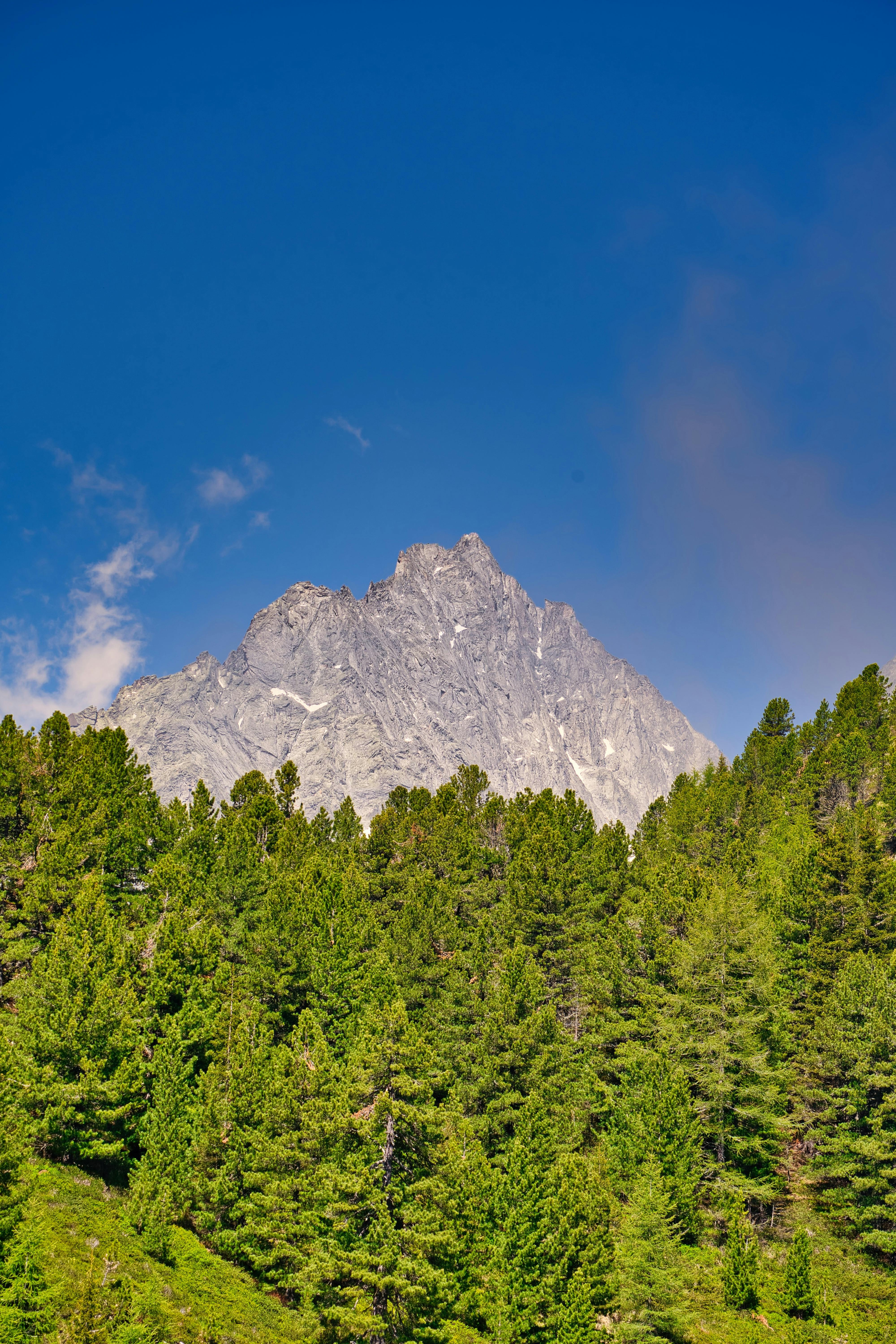 Trees Near Mountain · Free Stock Photo