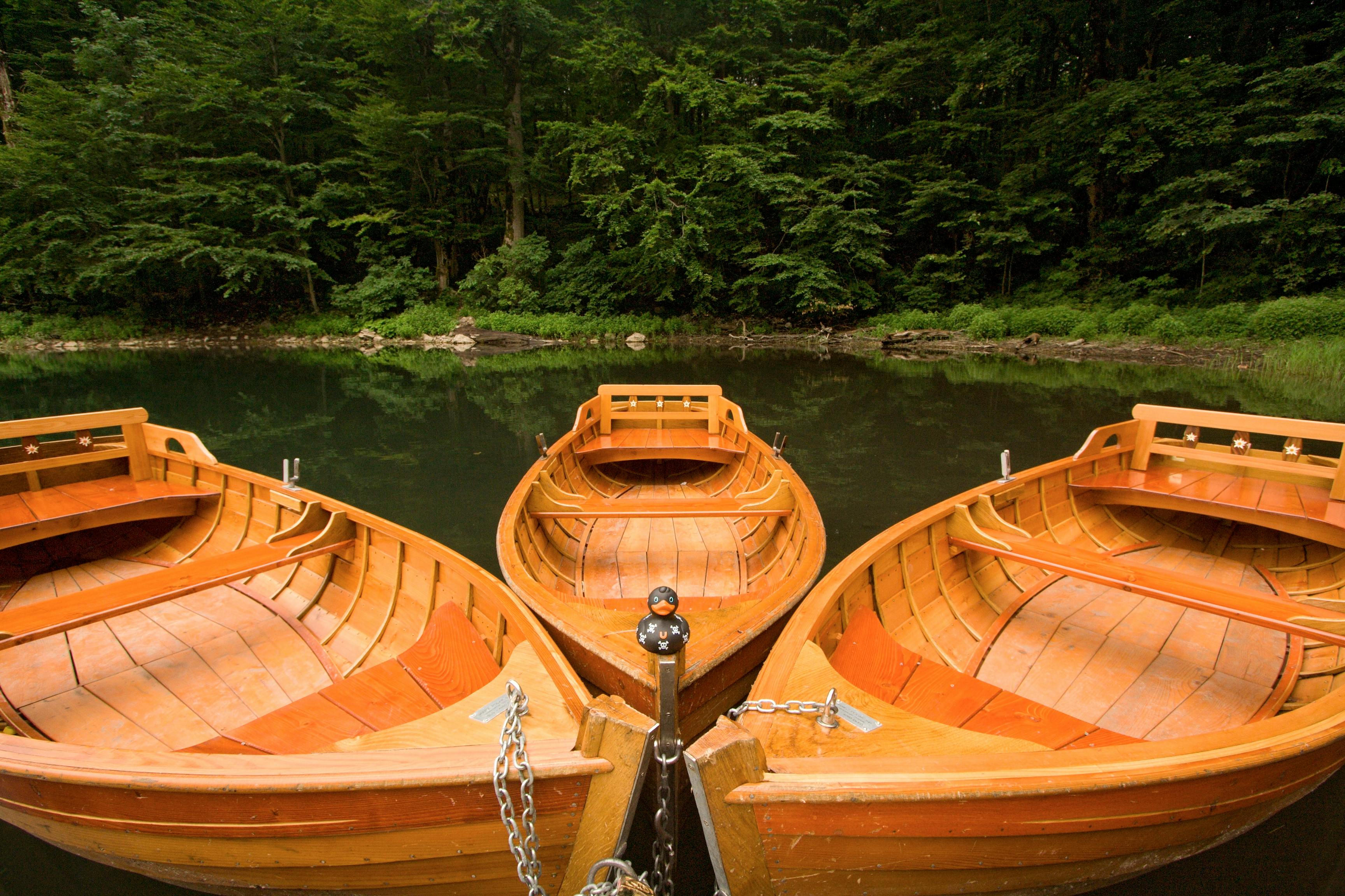 Boats Docked by Lake Shore · Free Stock Photo