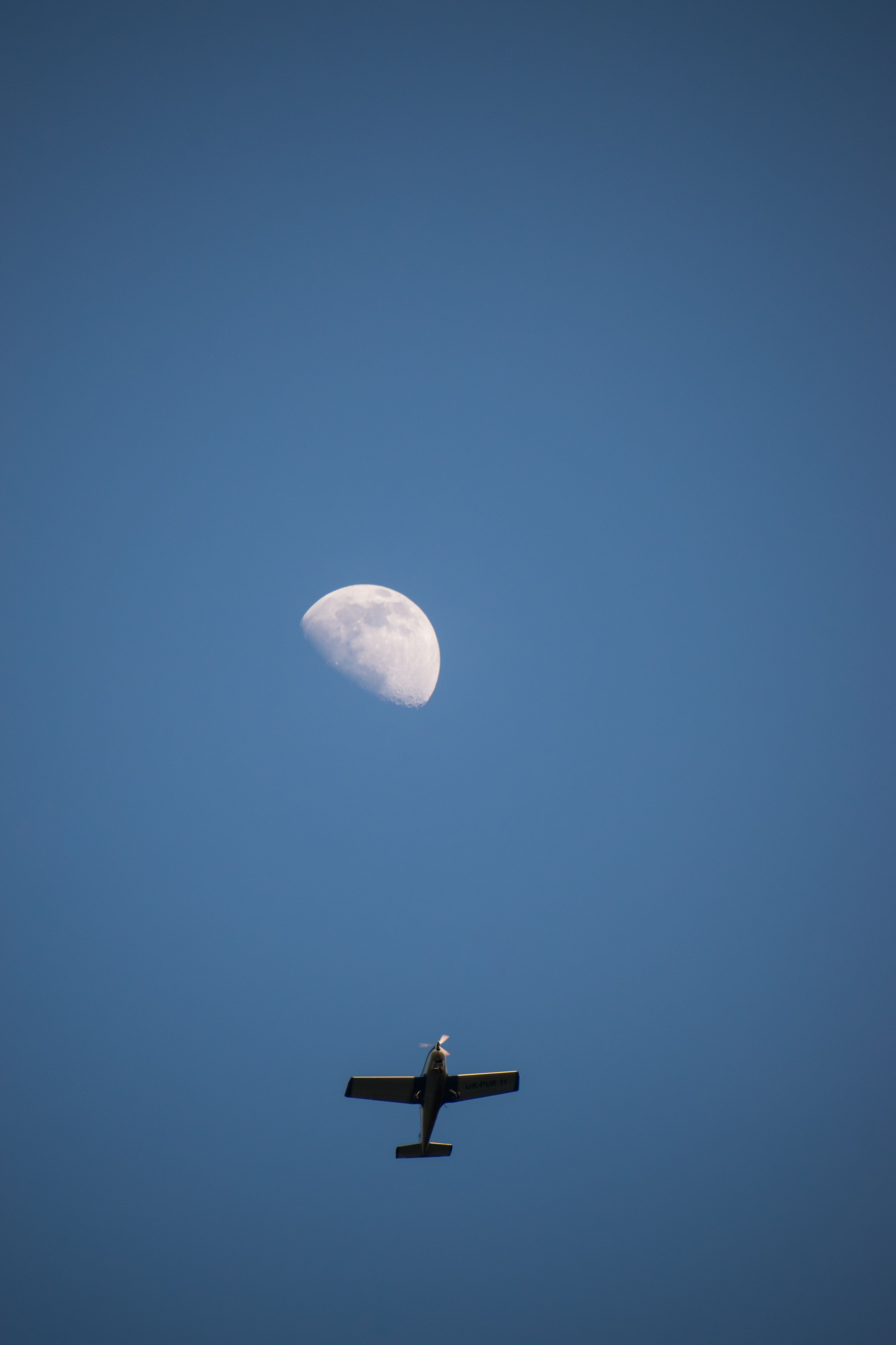 Plane Flying under Moon · Free Stock Photo