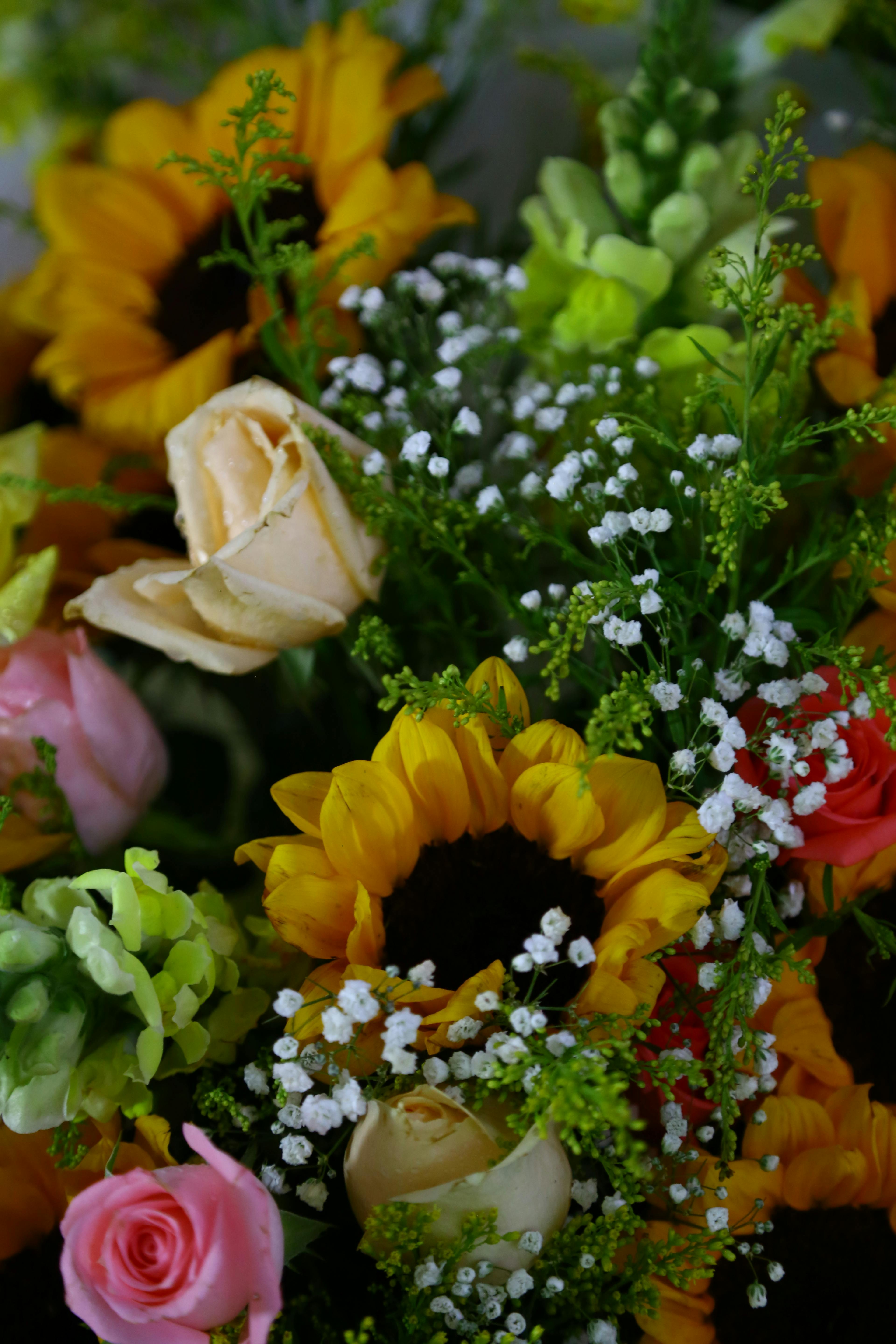 Bunch of Flowers in a Metal Bucket · Free Stock Photo