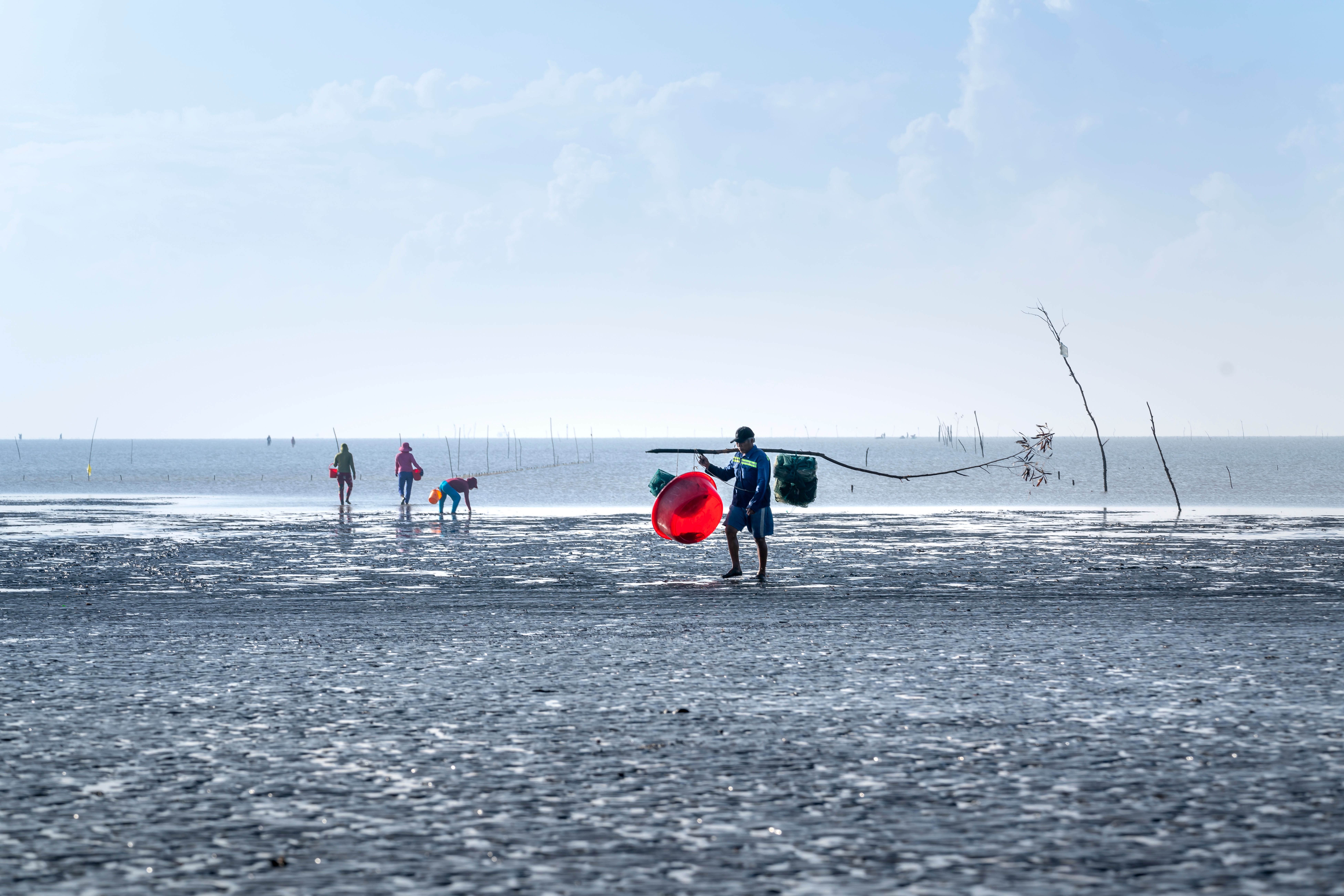 People on the Beach Catching Fish · Free Stock Photo