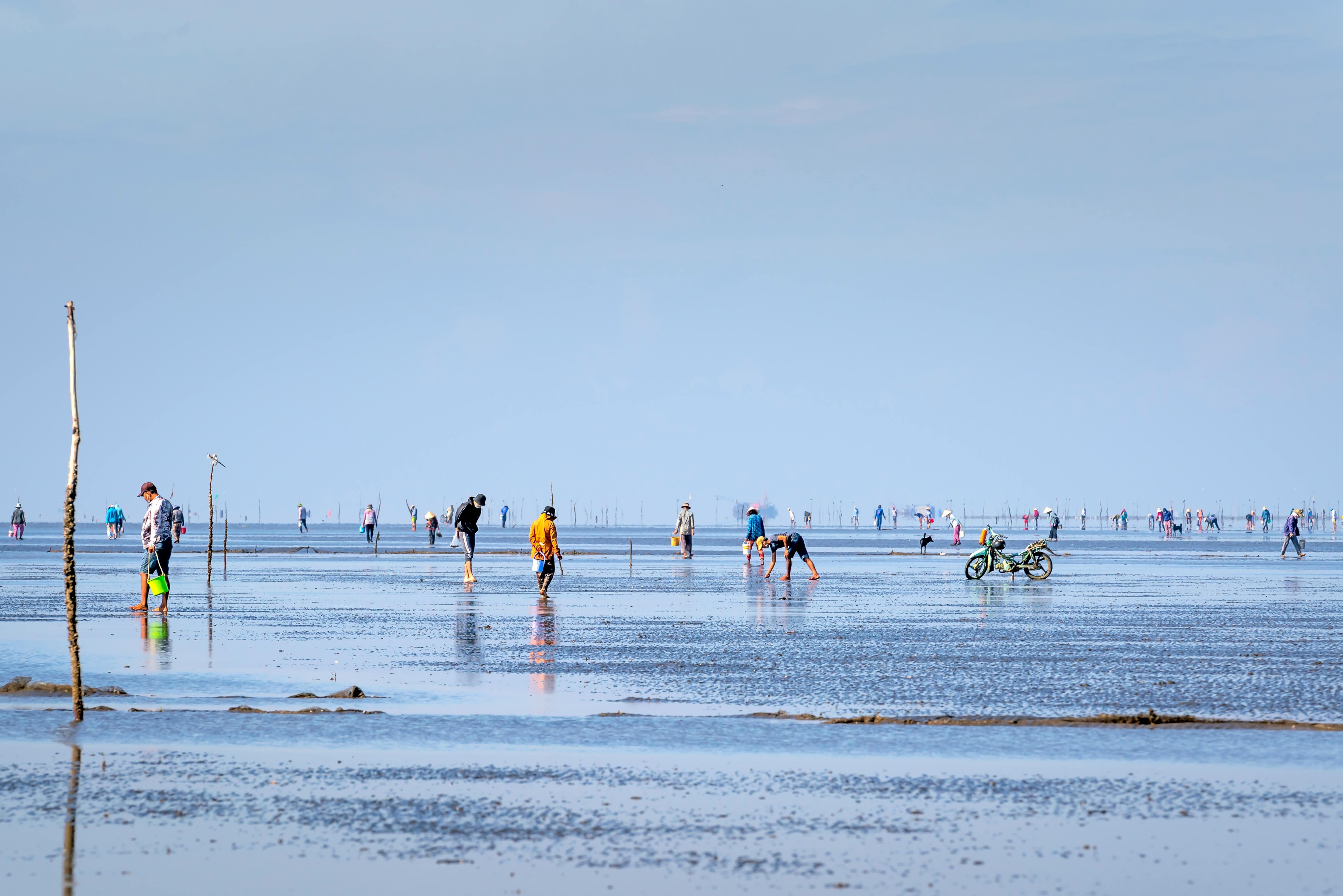 People on Shallow Water on Shore · Free Stock Photo