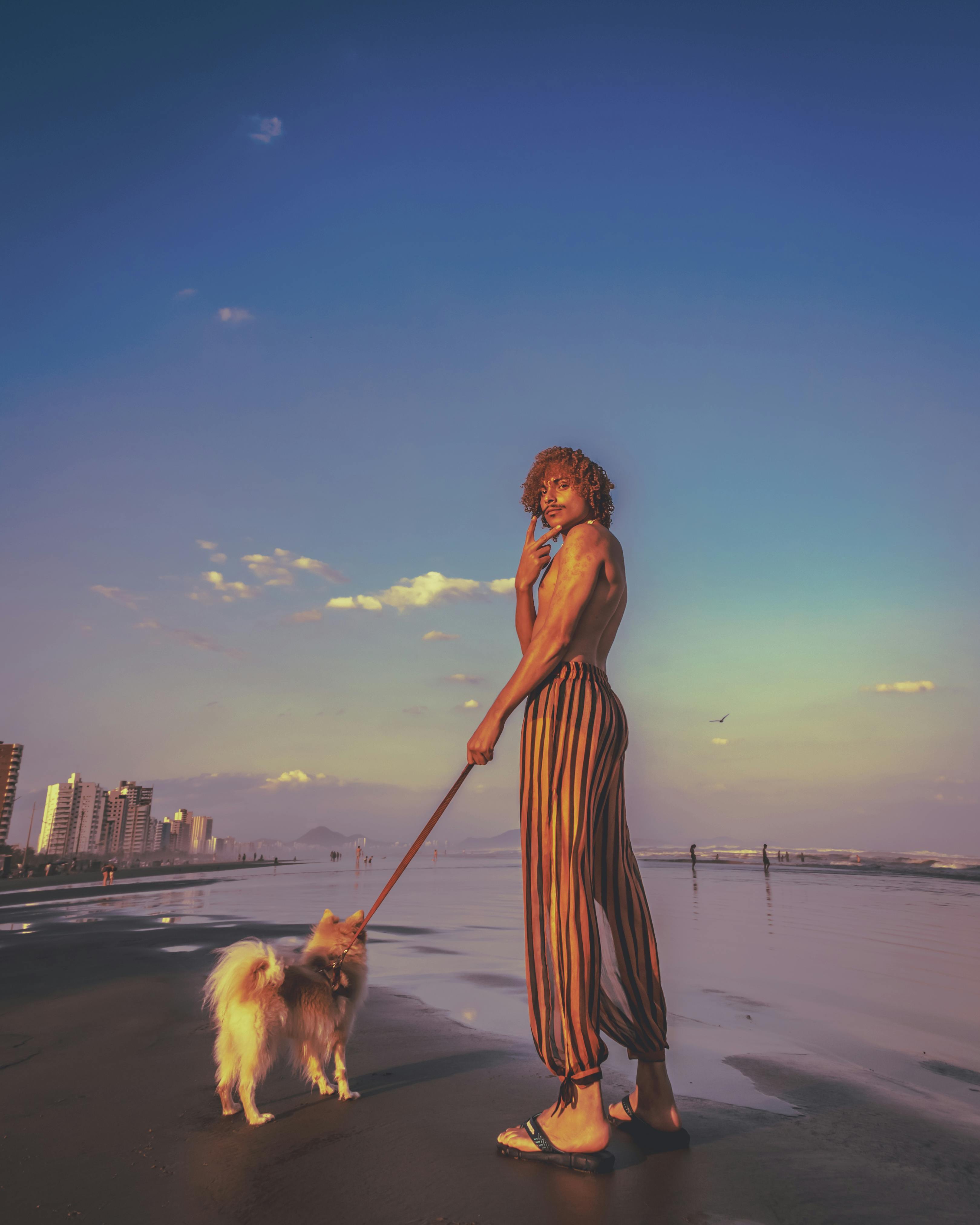 Dog Standing Over Dog Photos, Download The BEST Free Dog Standing Over ...