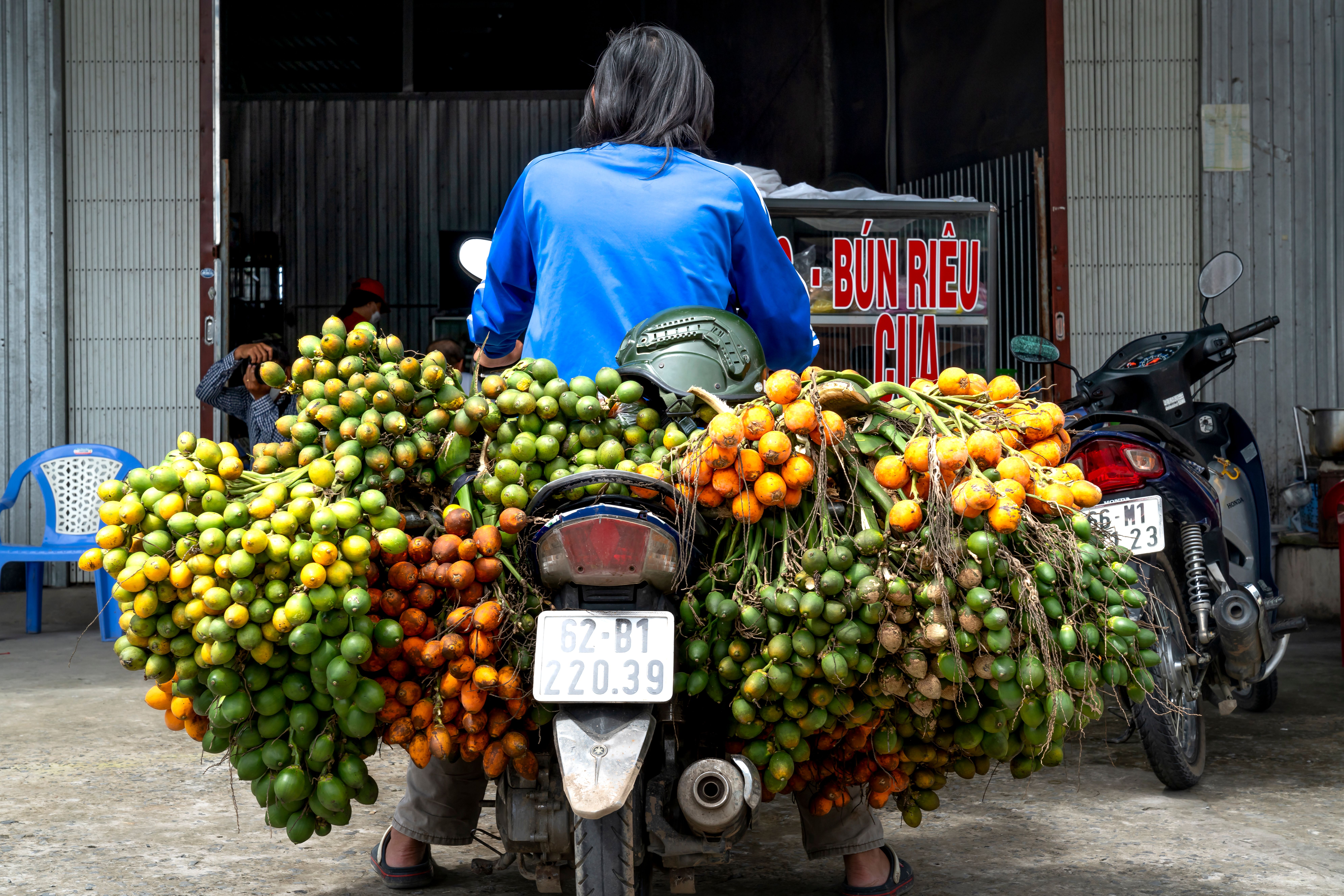 Fruits Hanging on a Motorcycle · Free Stock Photo