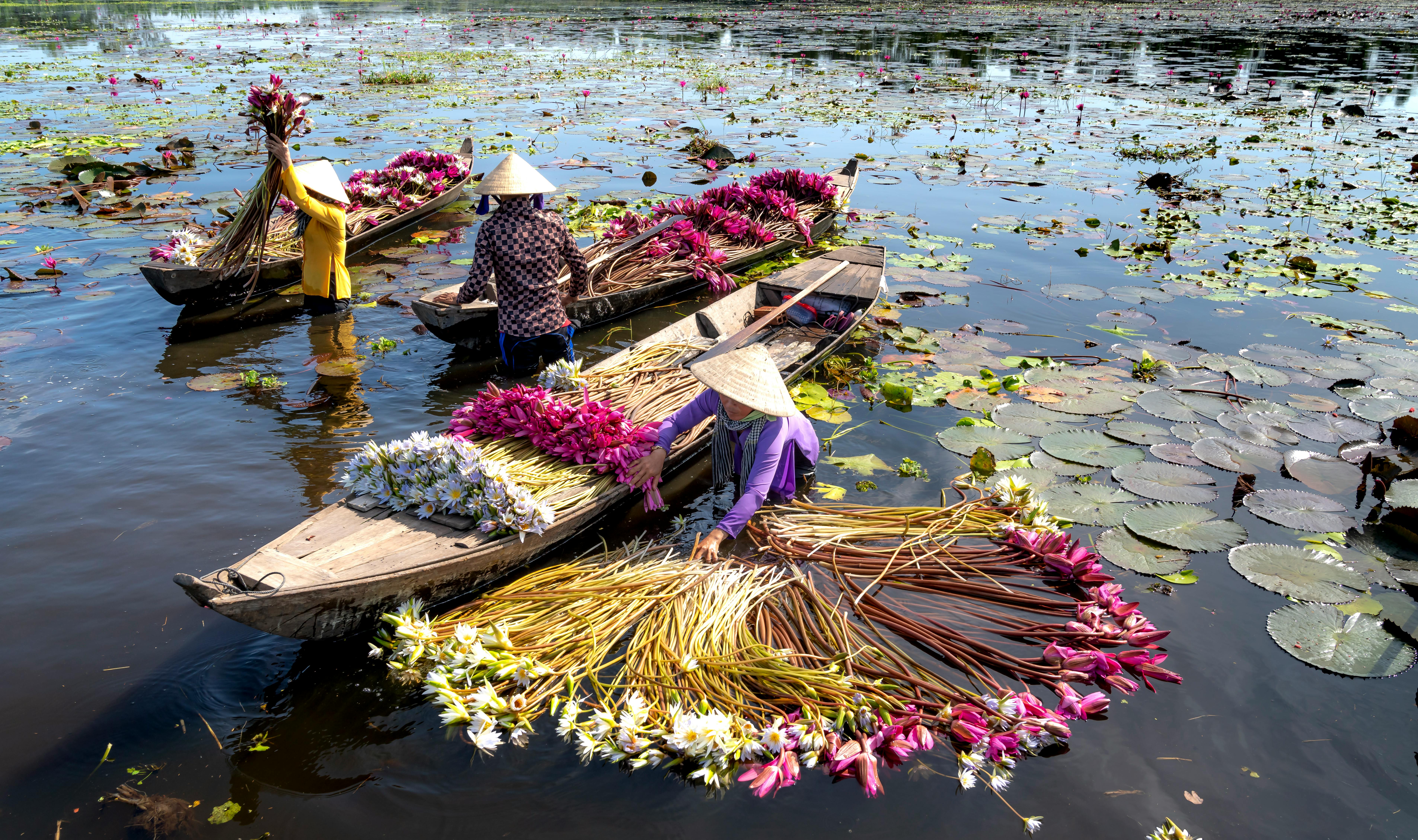 Women with Flowers on Boats · Free Stock Photo