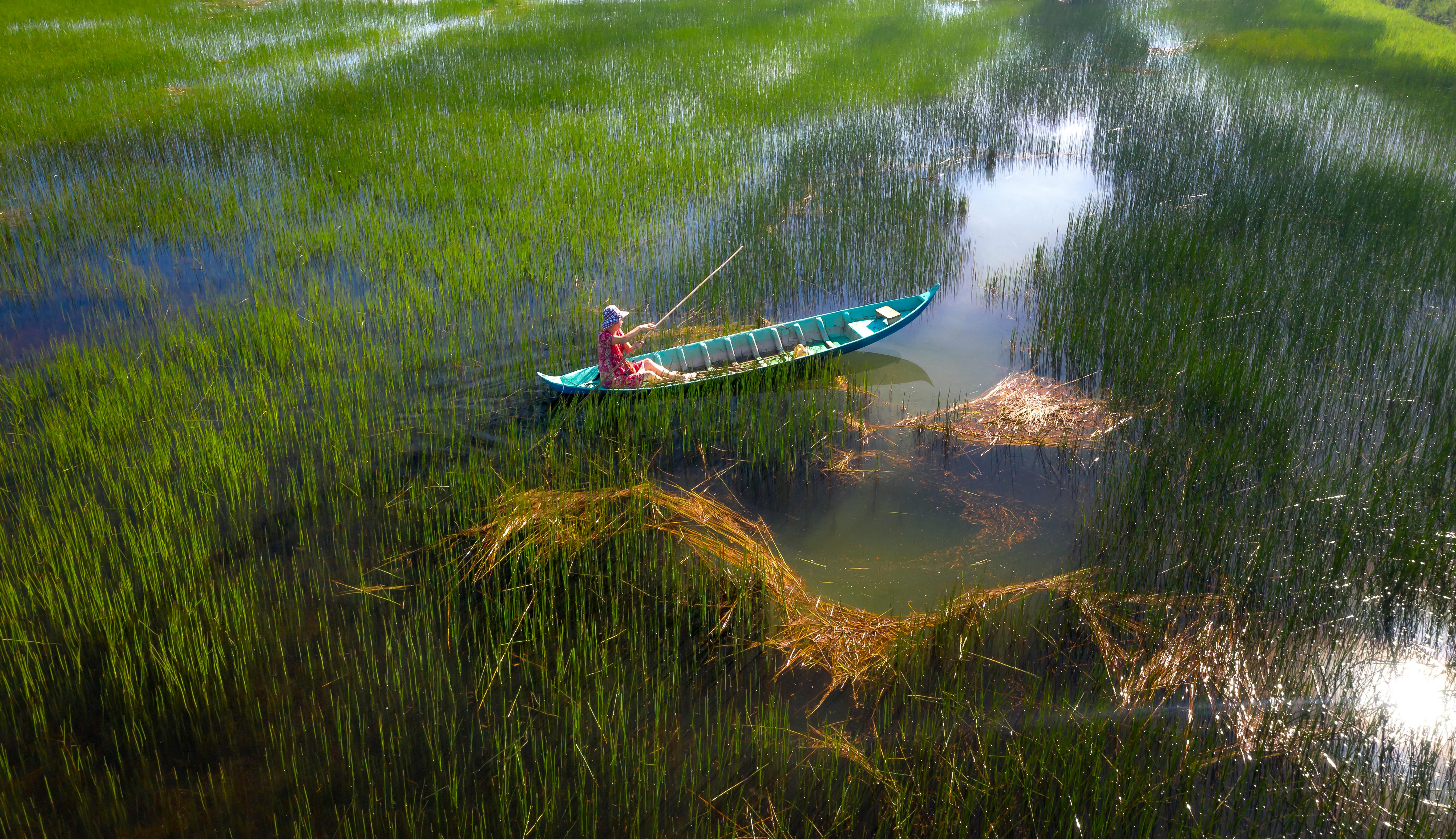 Person Sitting on Boat on Swamp · Free Stock Photo