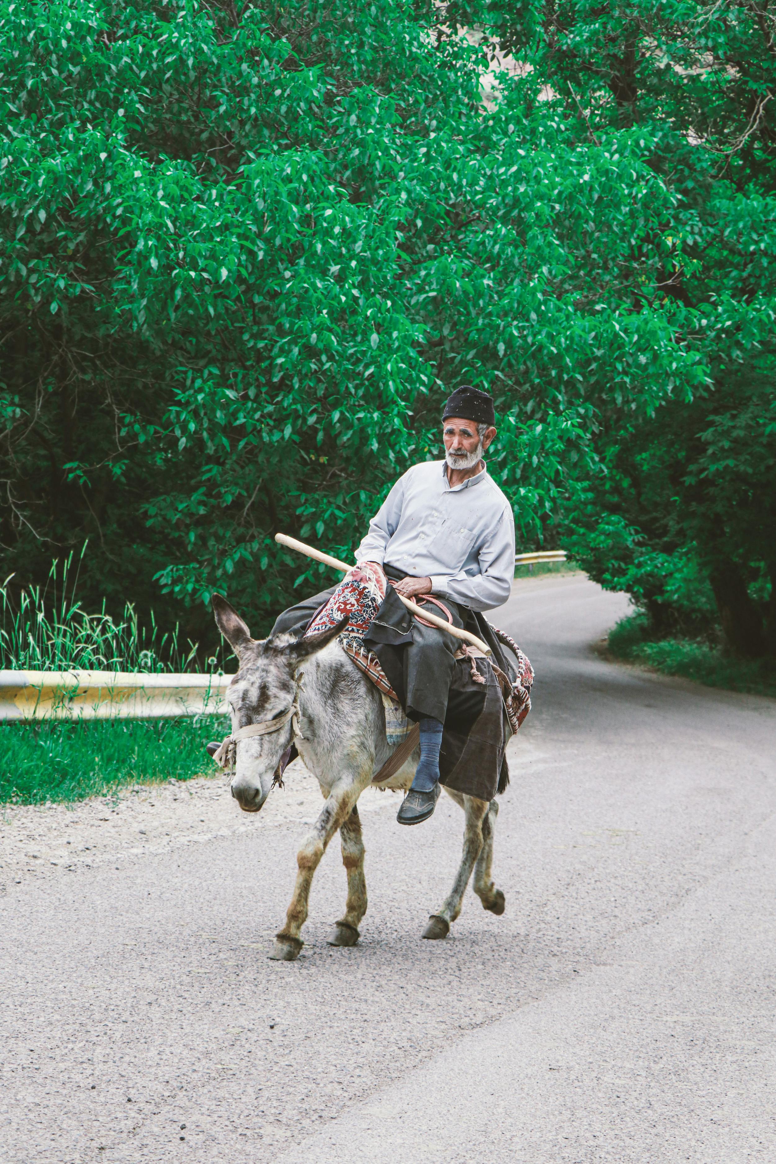 Elderly Man riding a Donkey · Free Stock Photo