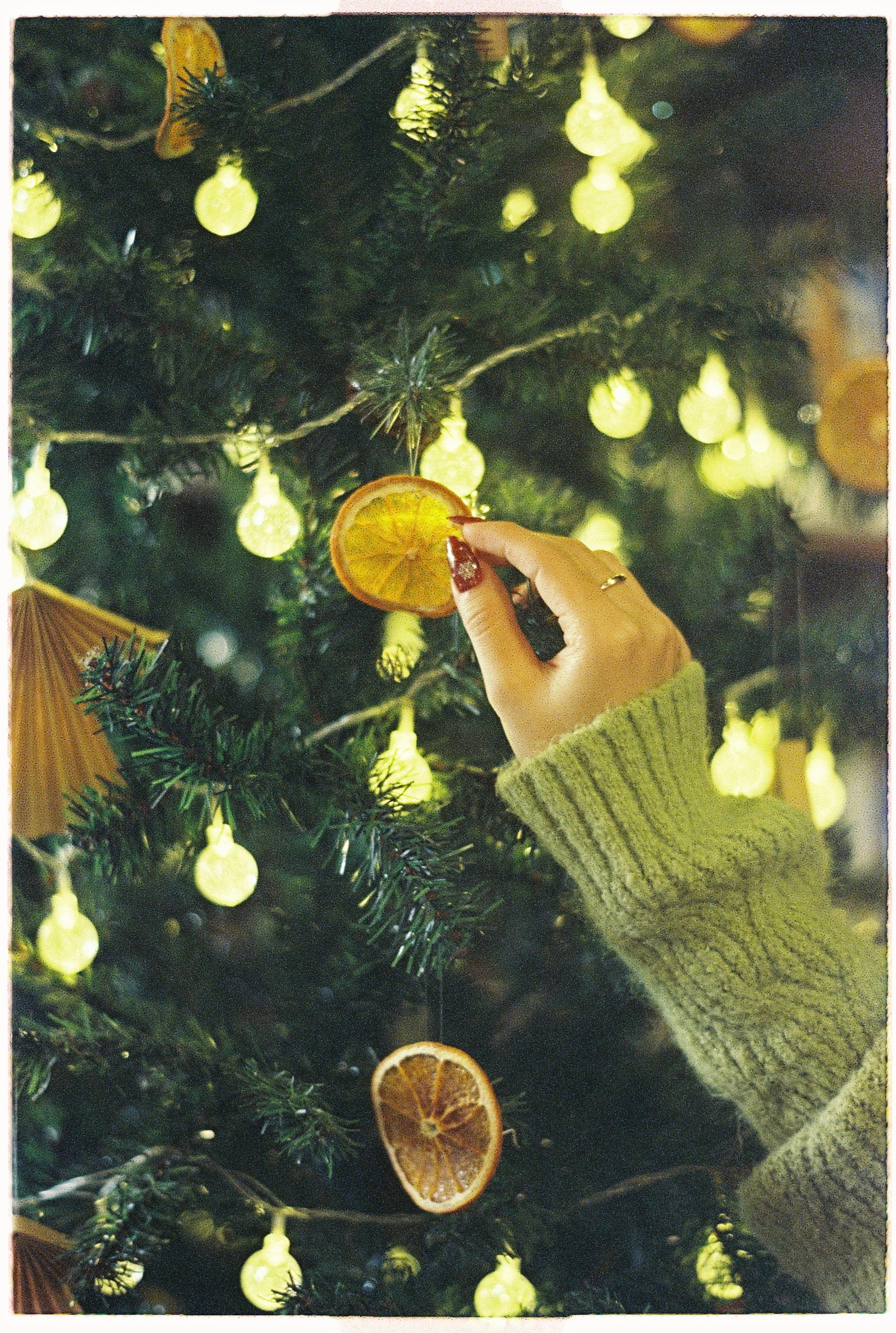 A Person Touching the Dried Lemon Slice Hanging on Christmas Tree ...
